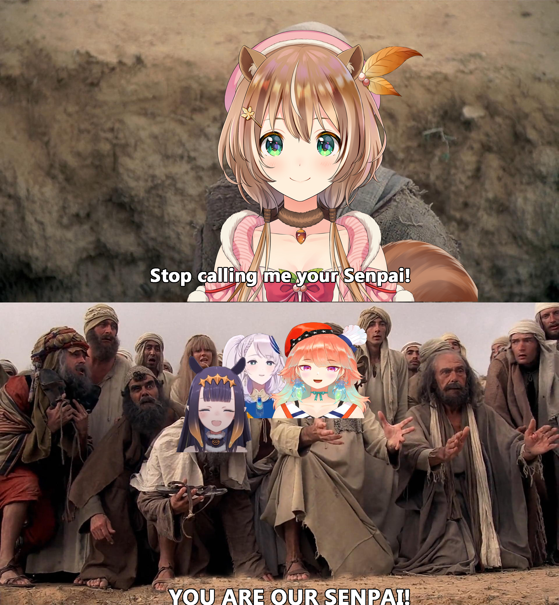 Poor Risu | Scrolller