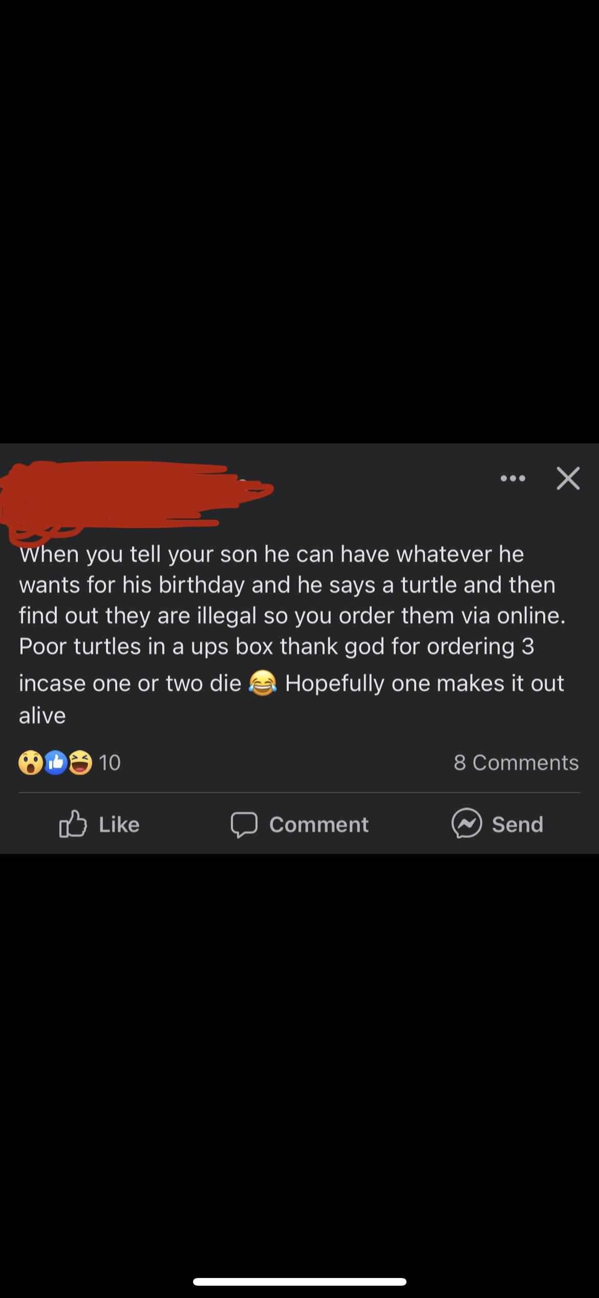 Poor turtles | Scrolller