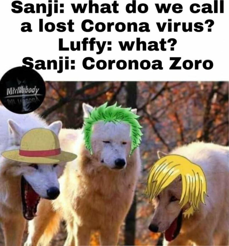 Poor zoro | Scrolller
