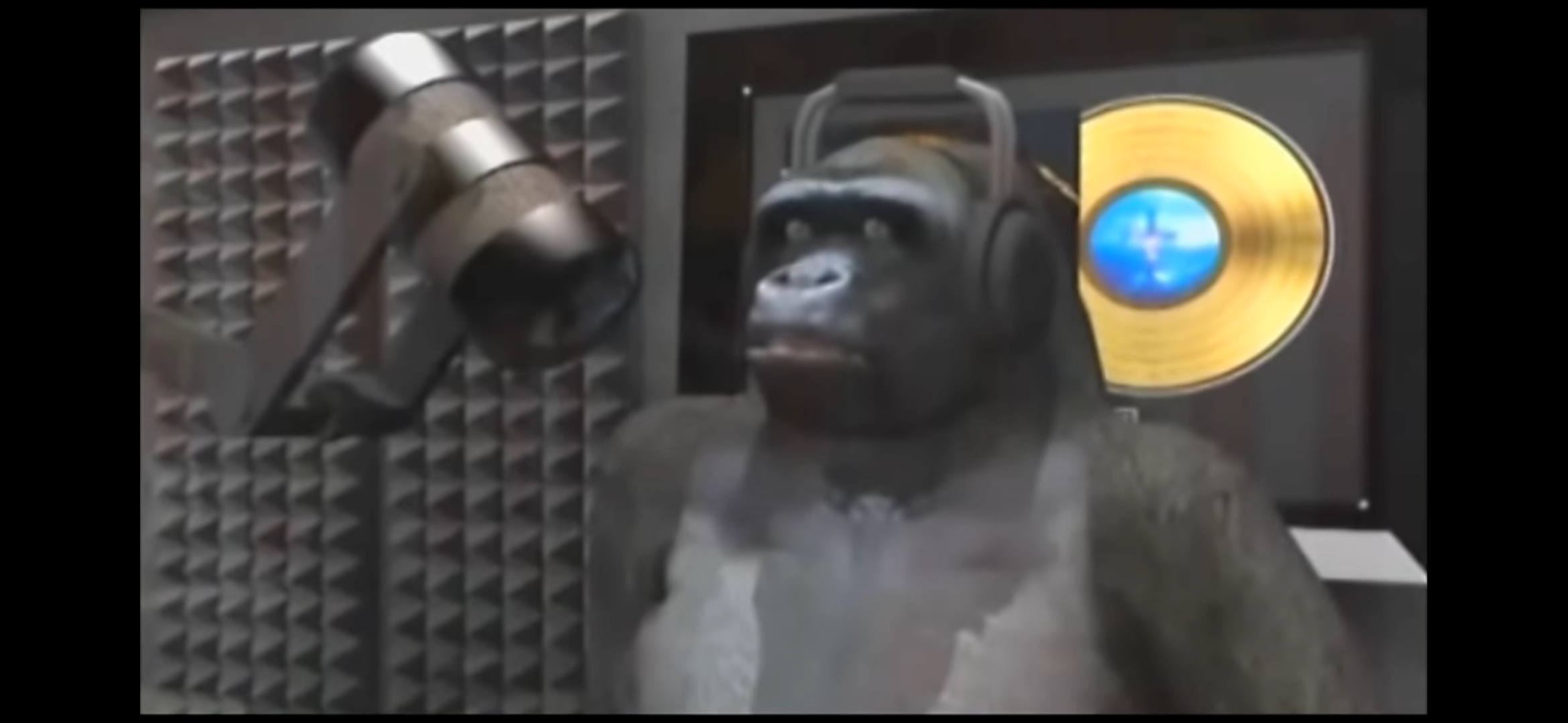 Popo the preaching gurilla gonna make a splash | Scrolller