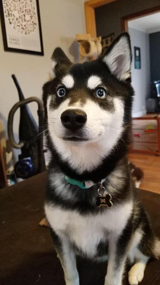 Posing for the Camera | Scrolller