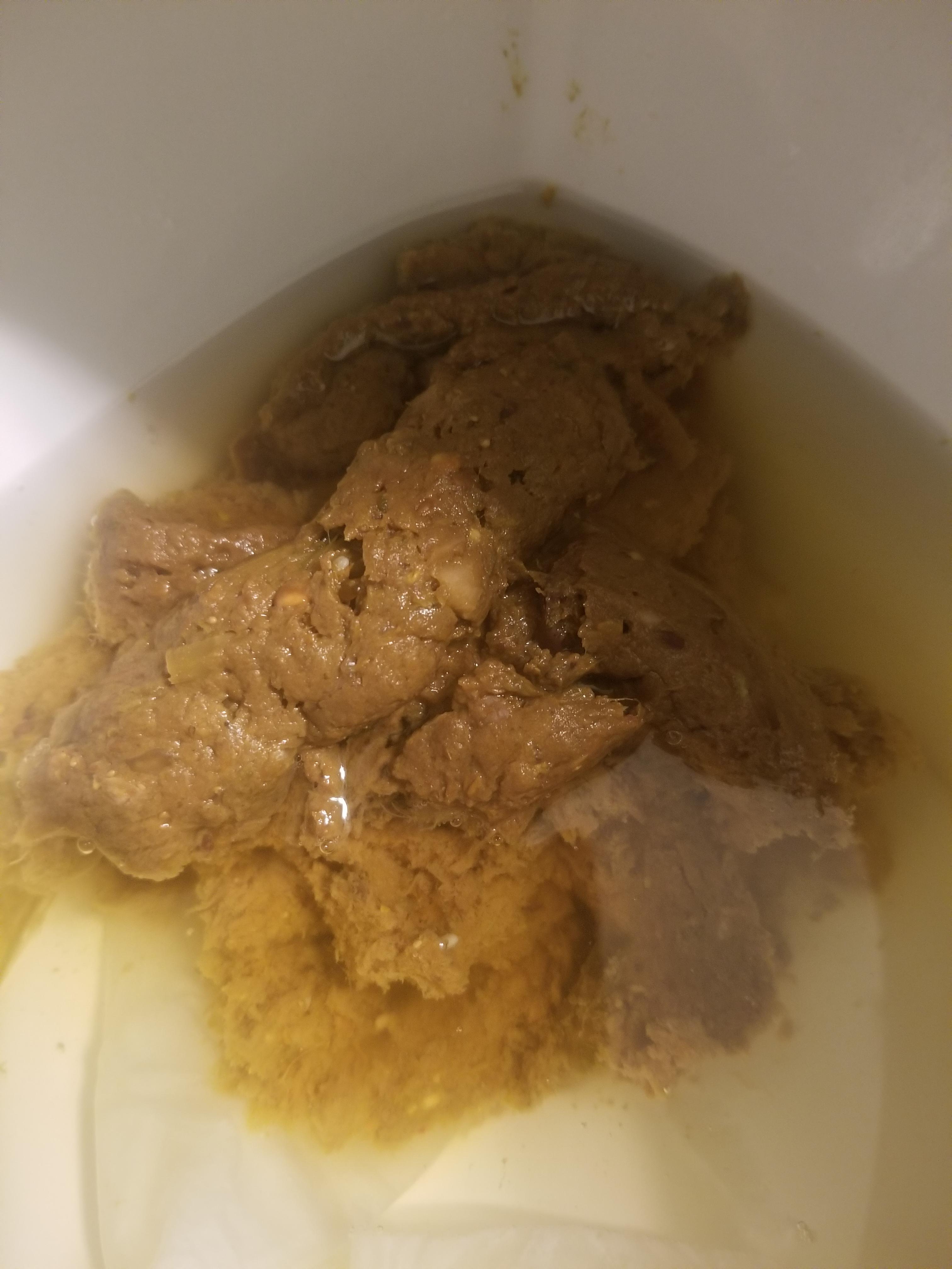 Post lunch poo | Scrolller