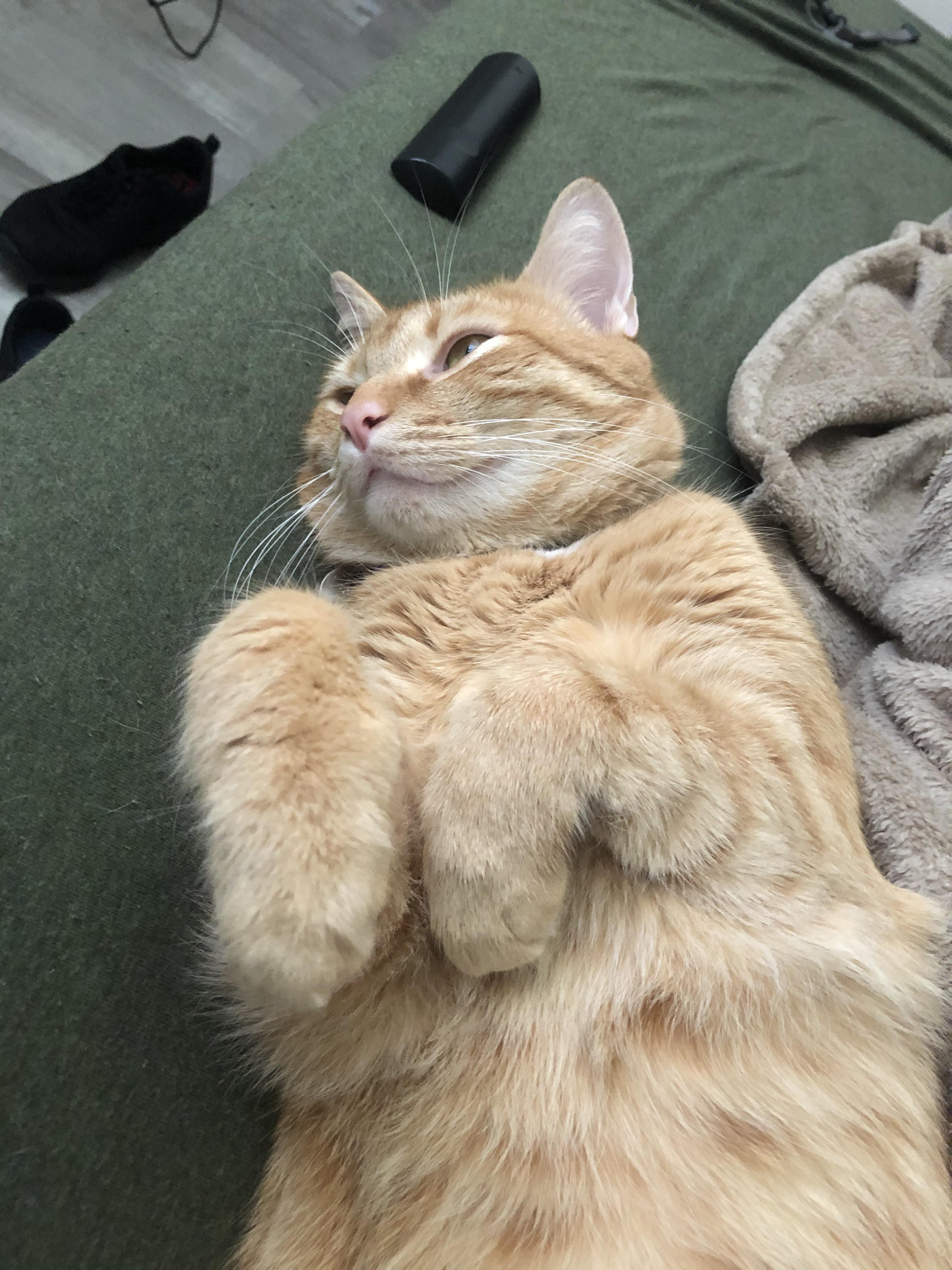 Post-nap feetsies | Scrolller