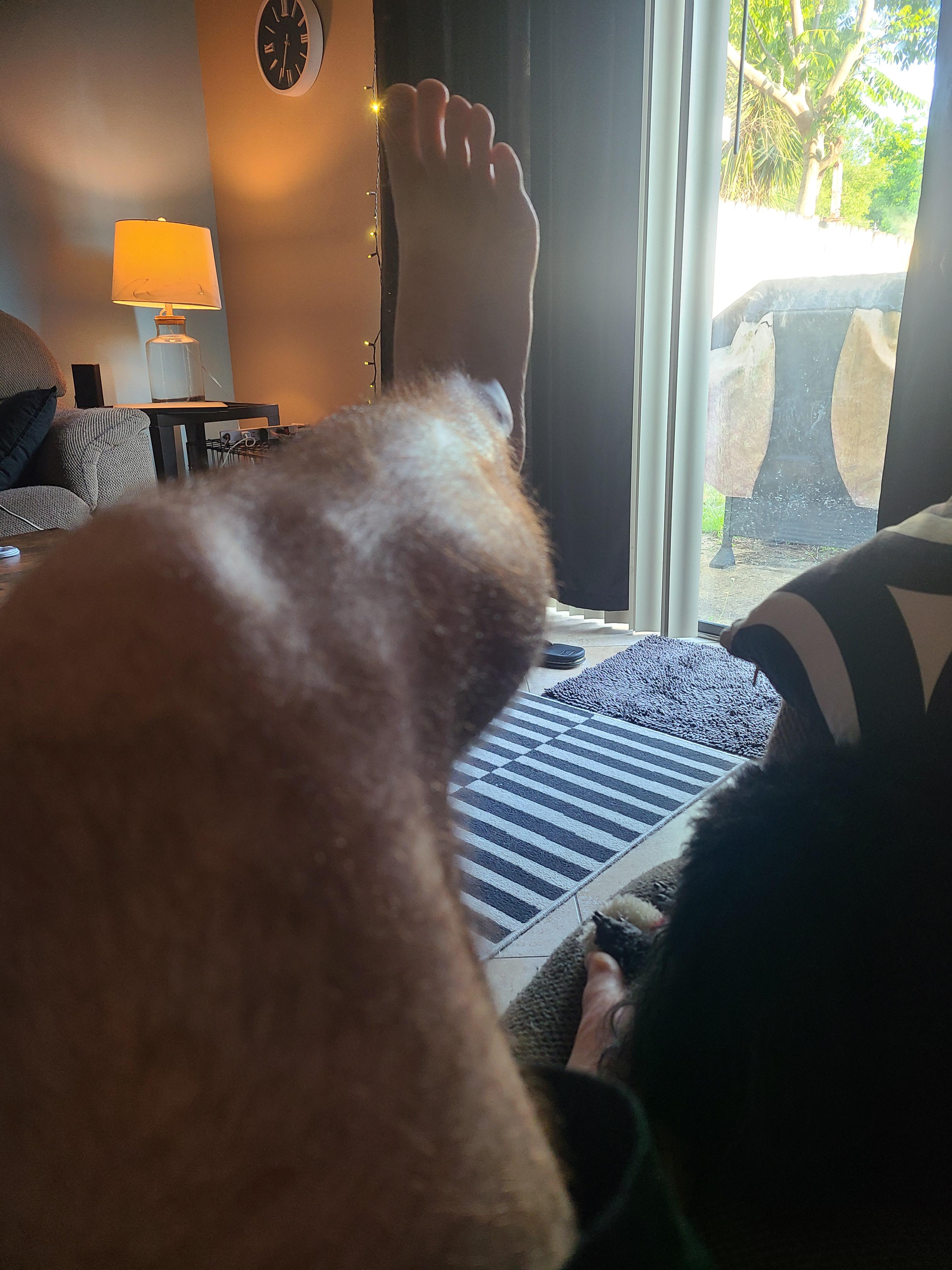 Post run calf | Scrolller