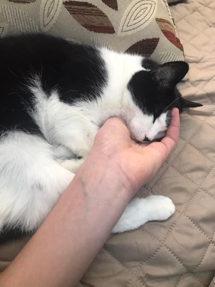 Post scritch nap | Scrolller