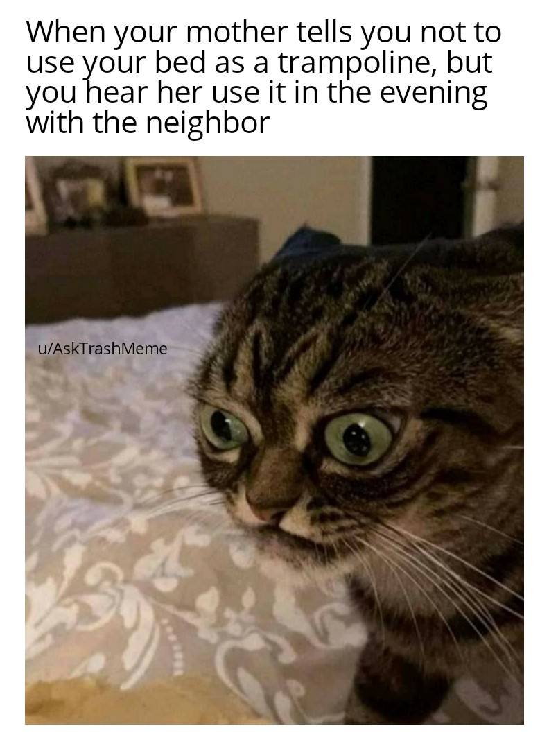 Posting memes until I get my master's degree day 185 meme 341 | Scrolller