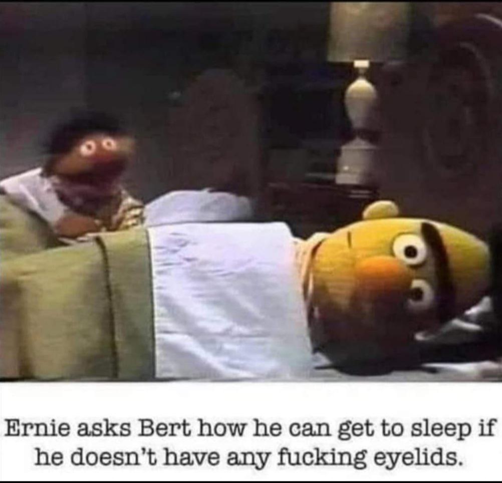 POV: Ernie asks Bert how he can get to sleep without any f***ing eyelids | Scrolller