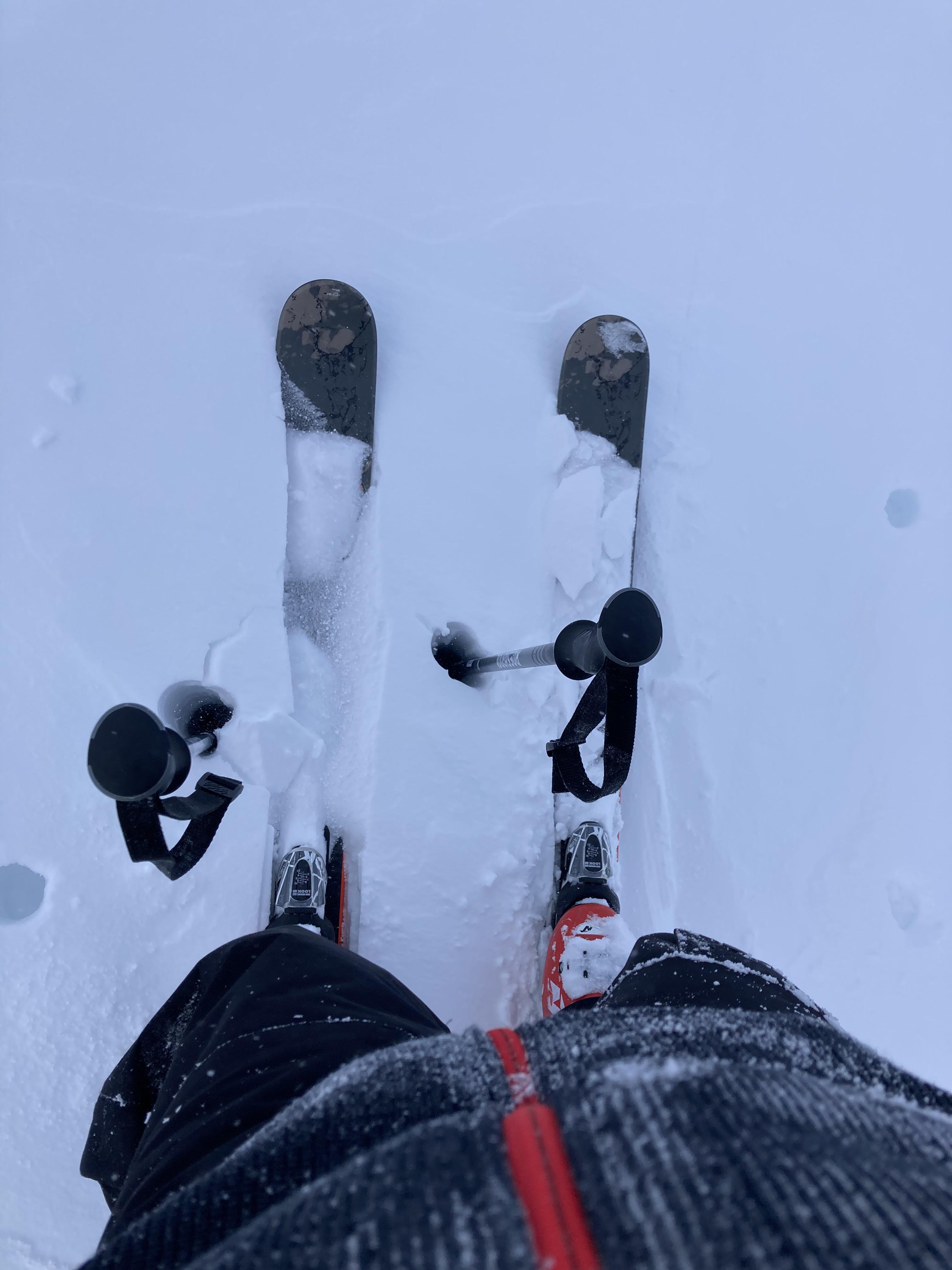 Powder Day | Scrolller