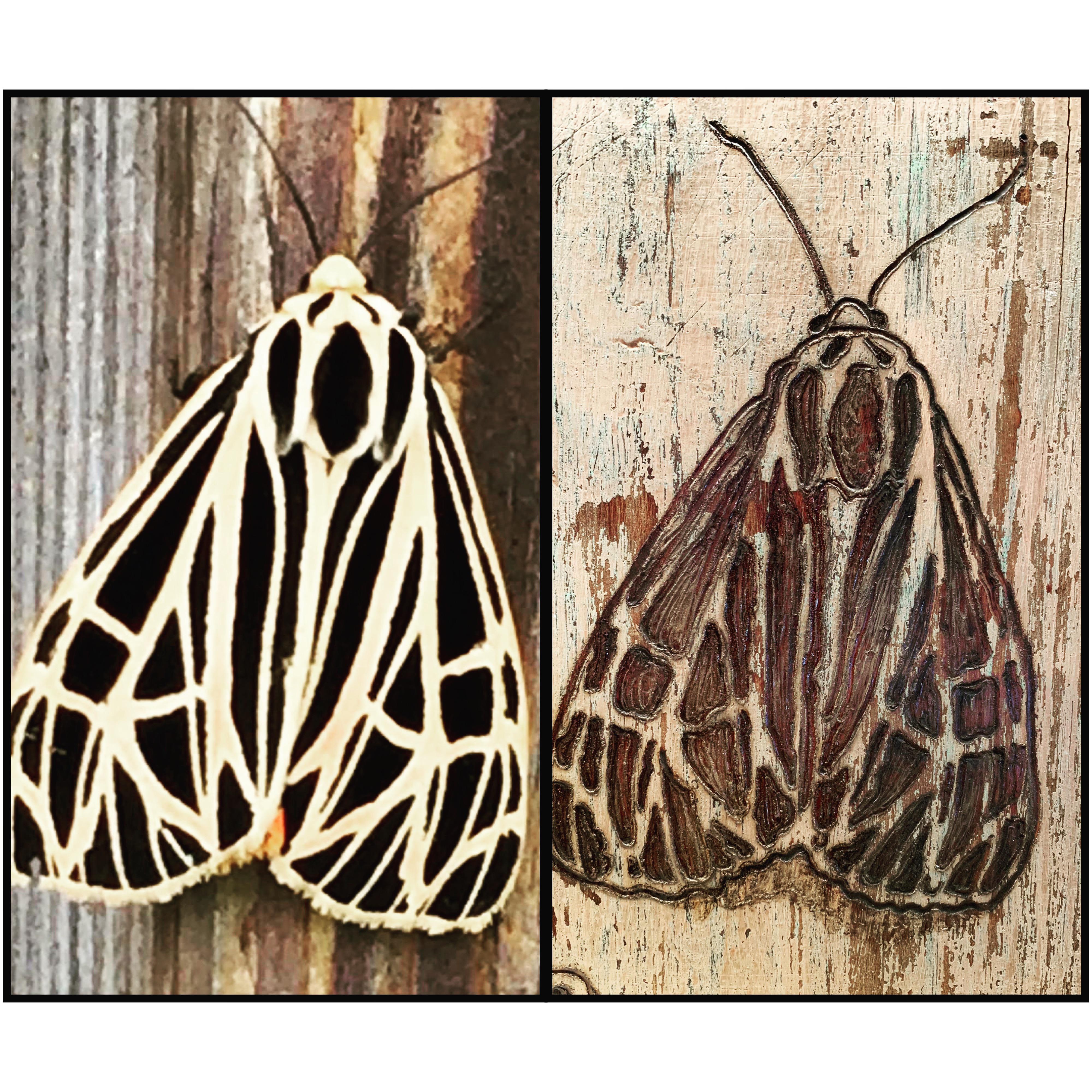 Practice Practice Practice Scrolller