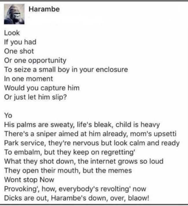 Prayers up for Harambe | Scrolller