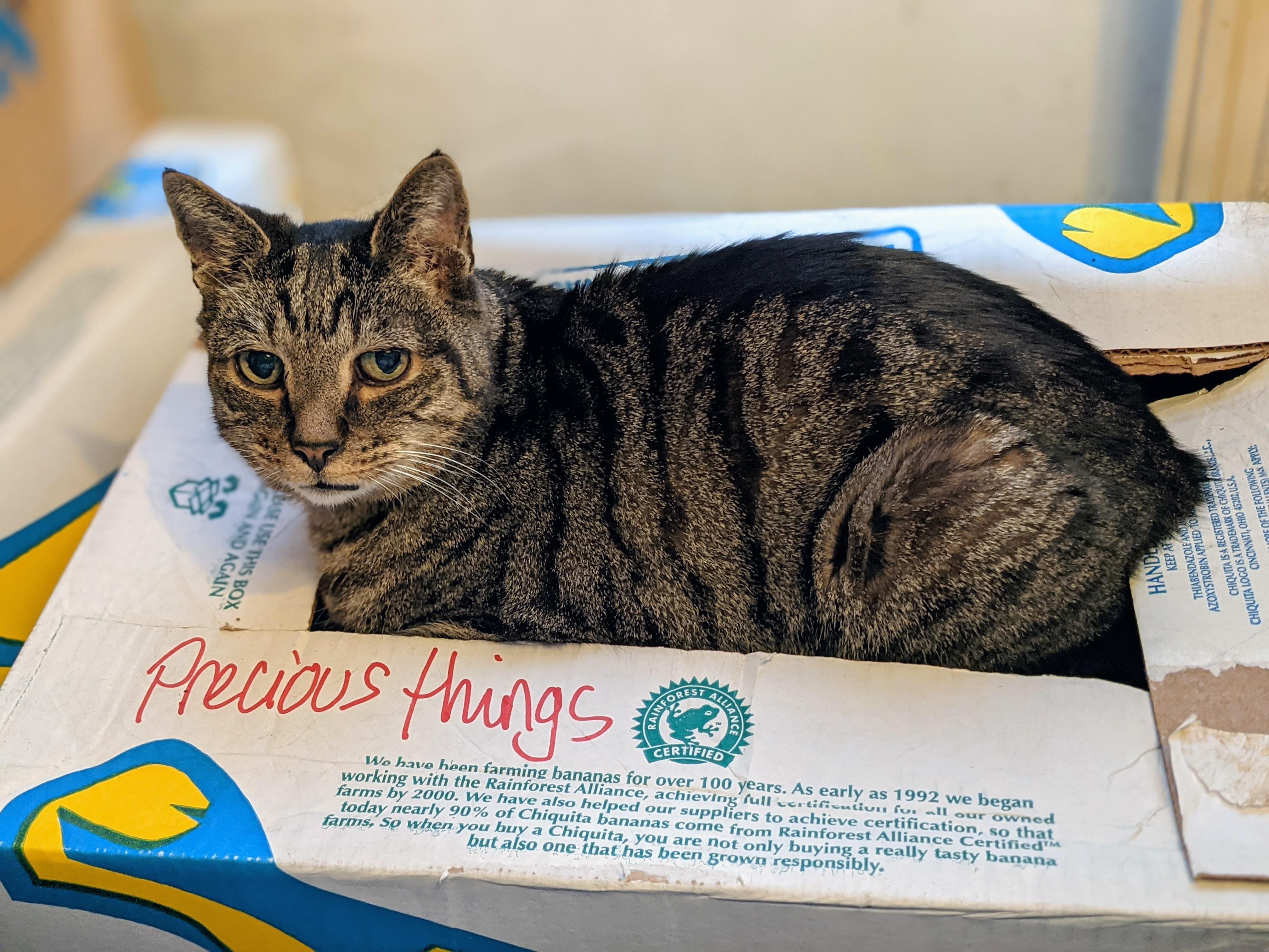 Precious | Scrolller