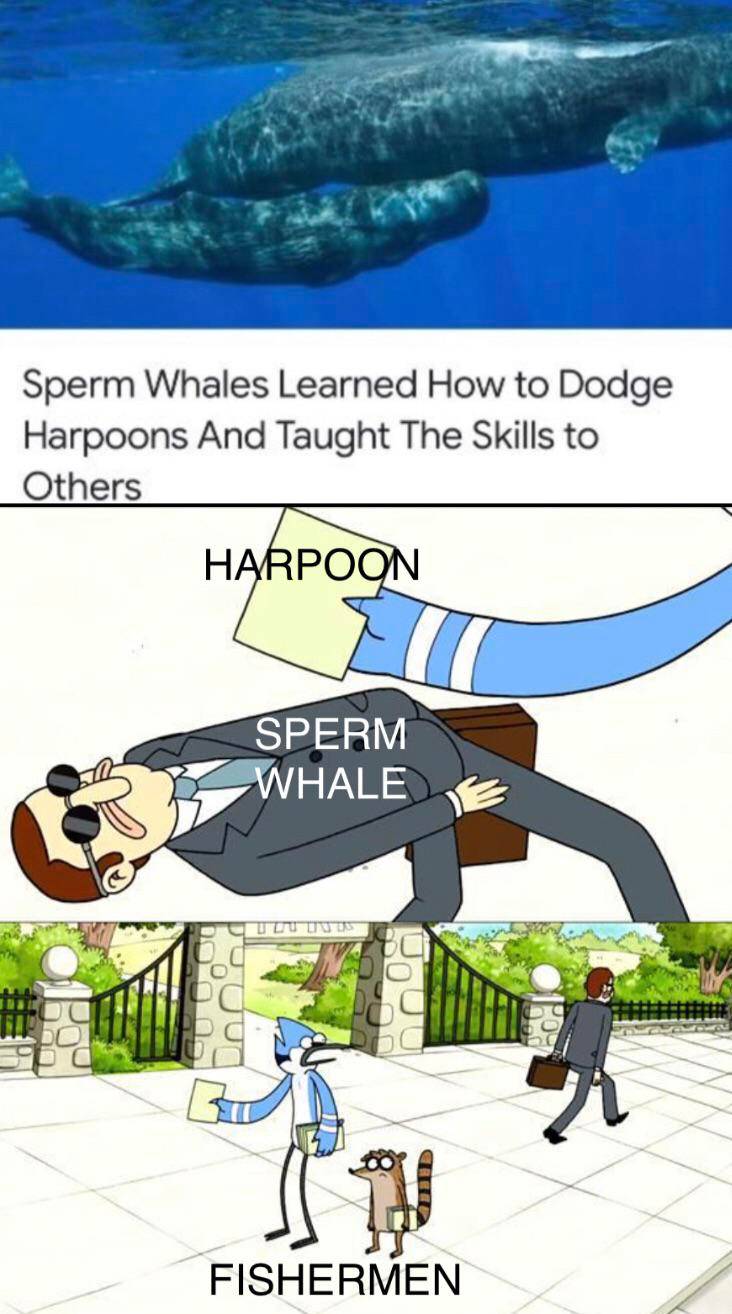 Press X to reload | Scrolller