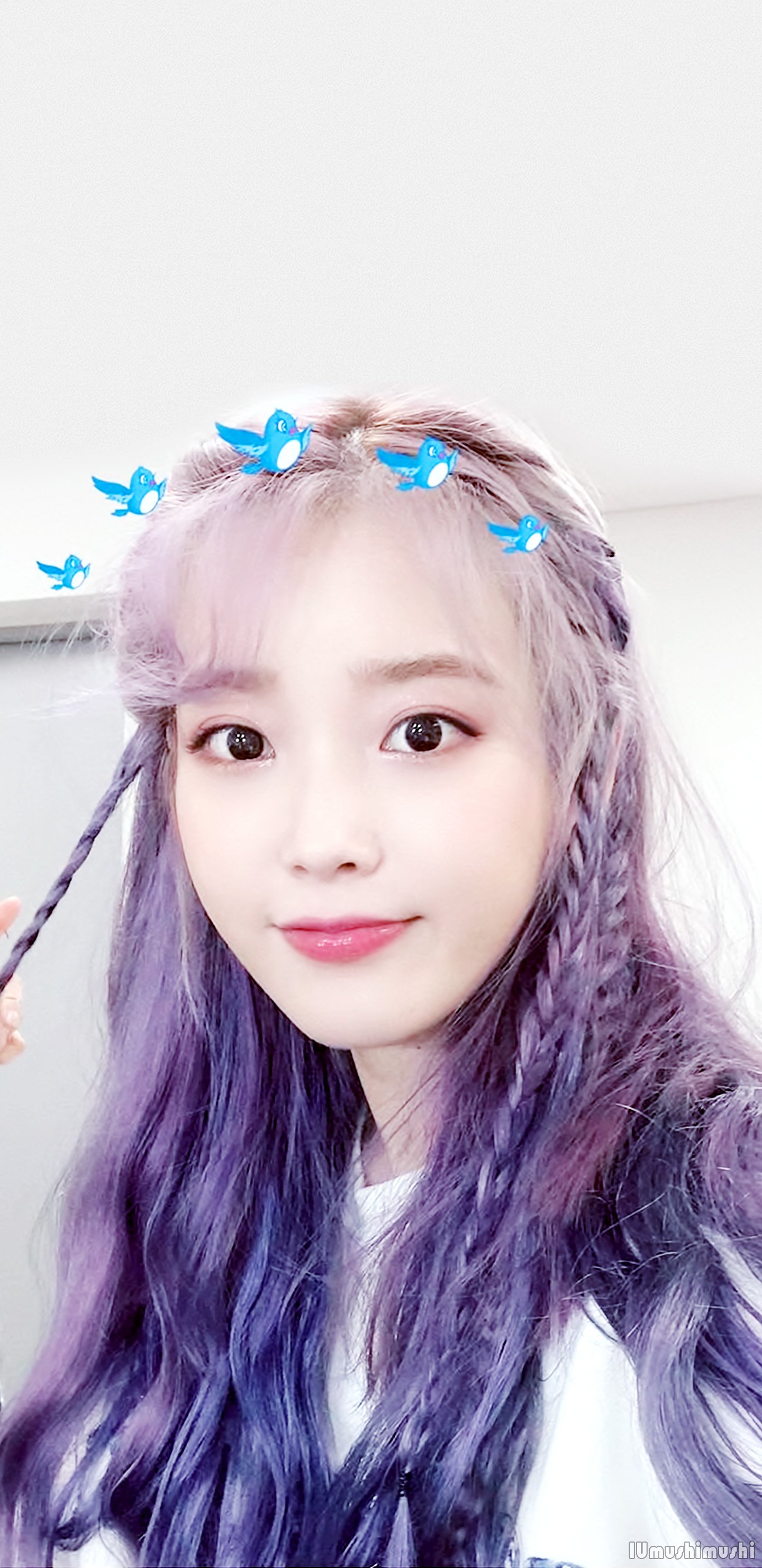 Pretty in purple | Scrolller