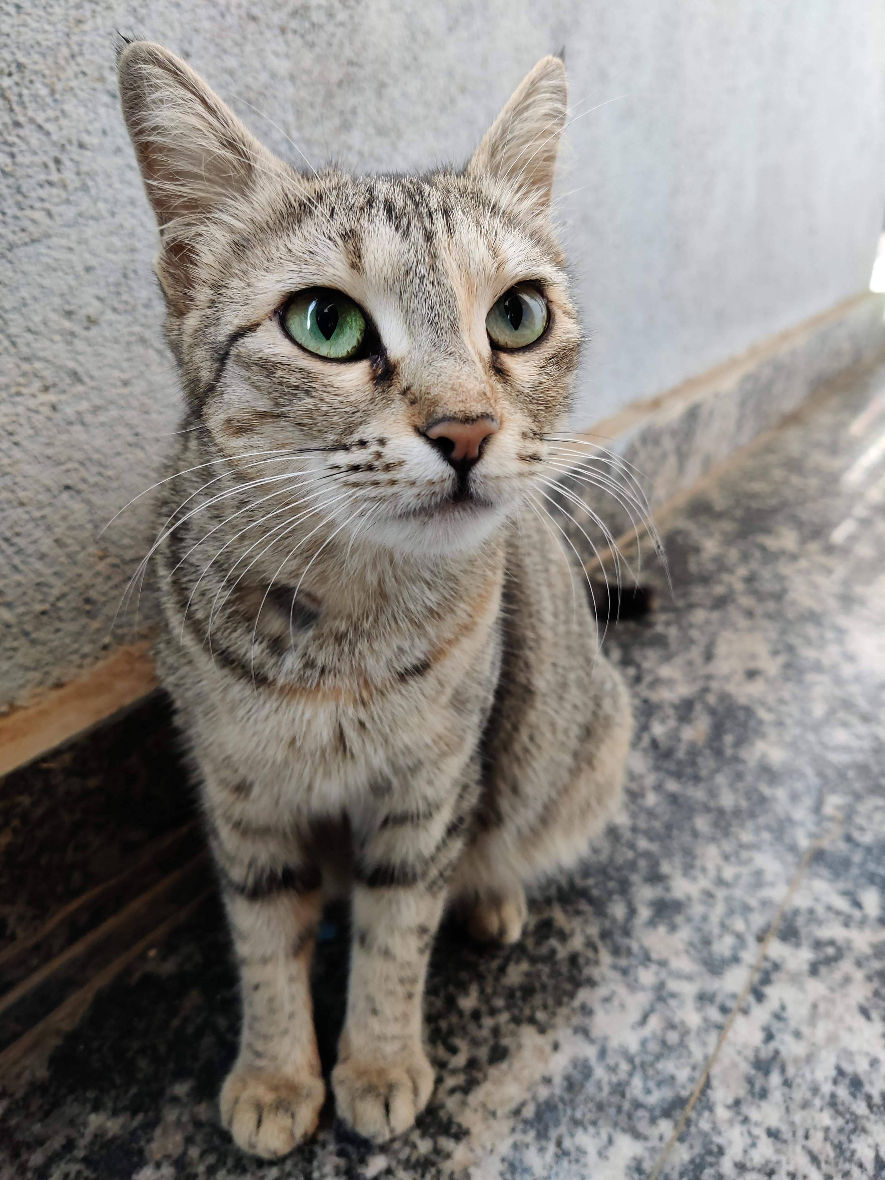 Pretty much? | Scrolller