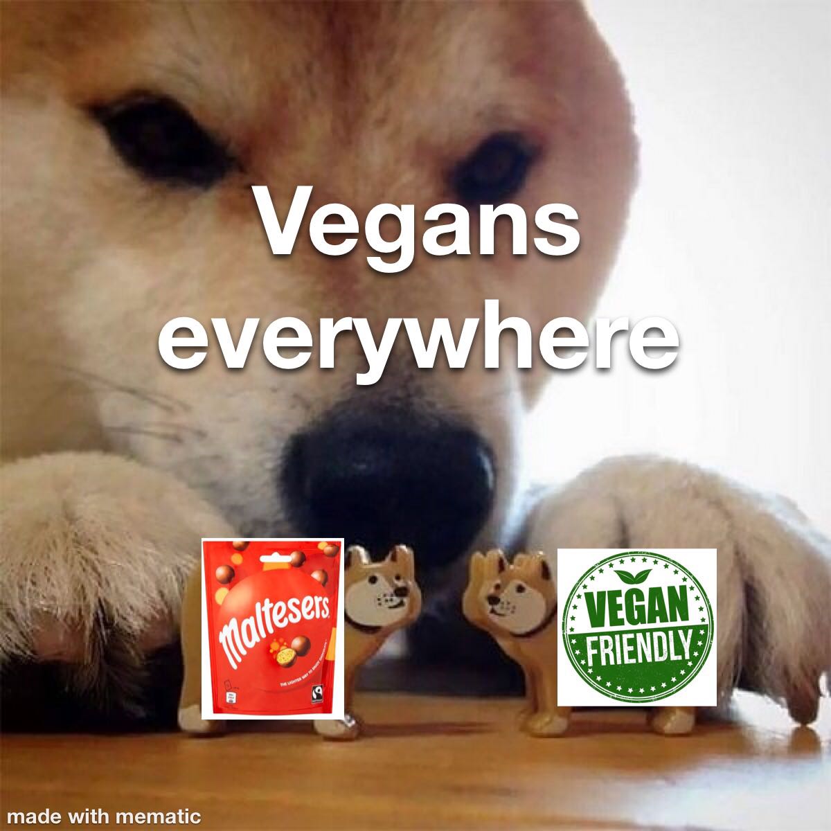 Pretty please? | Scrolller