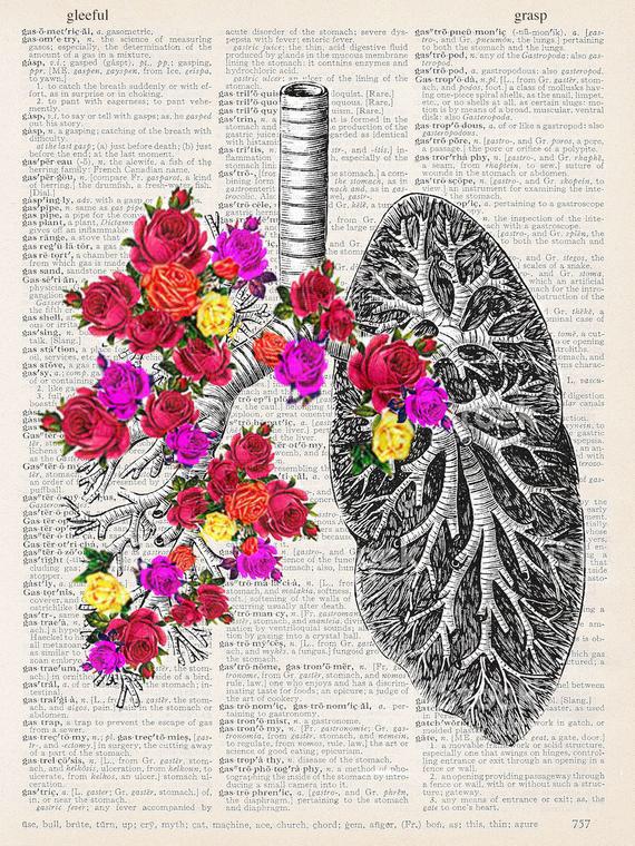 Pretty sure I’m developing another severe lung infection | Scrolller