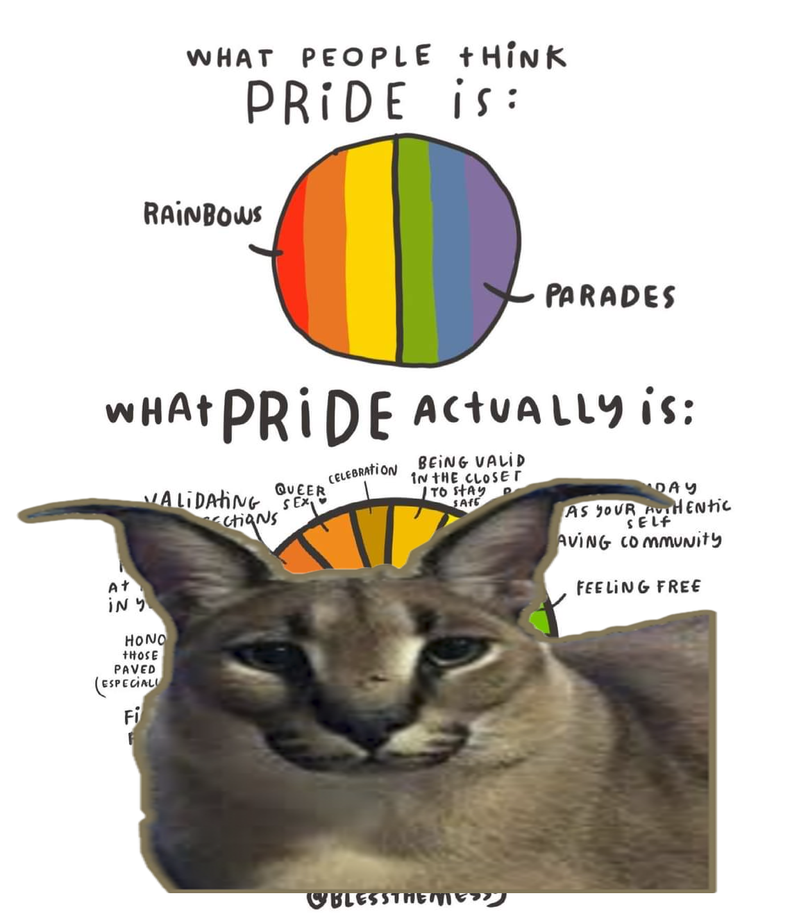 Pride | Scrolller