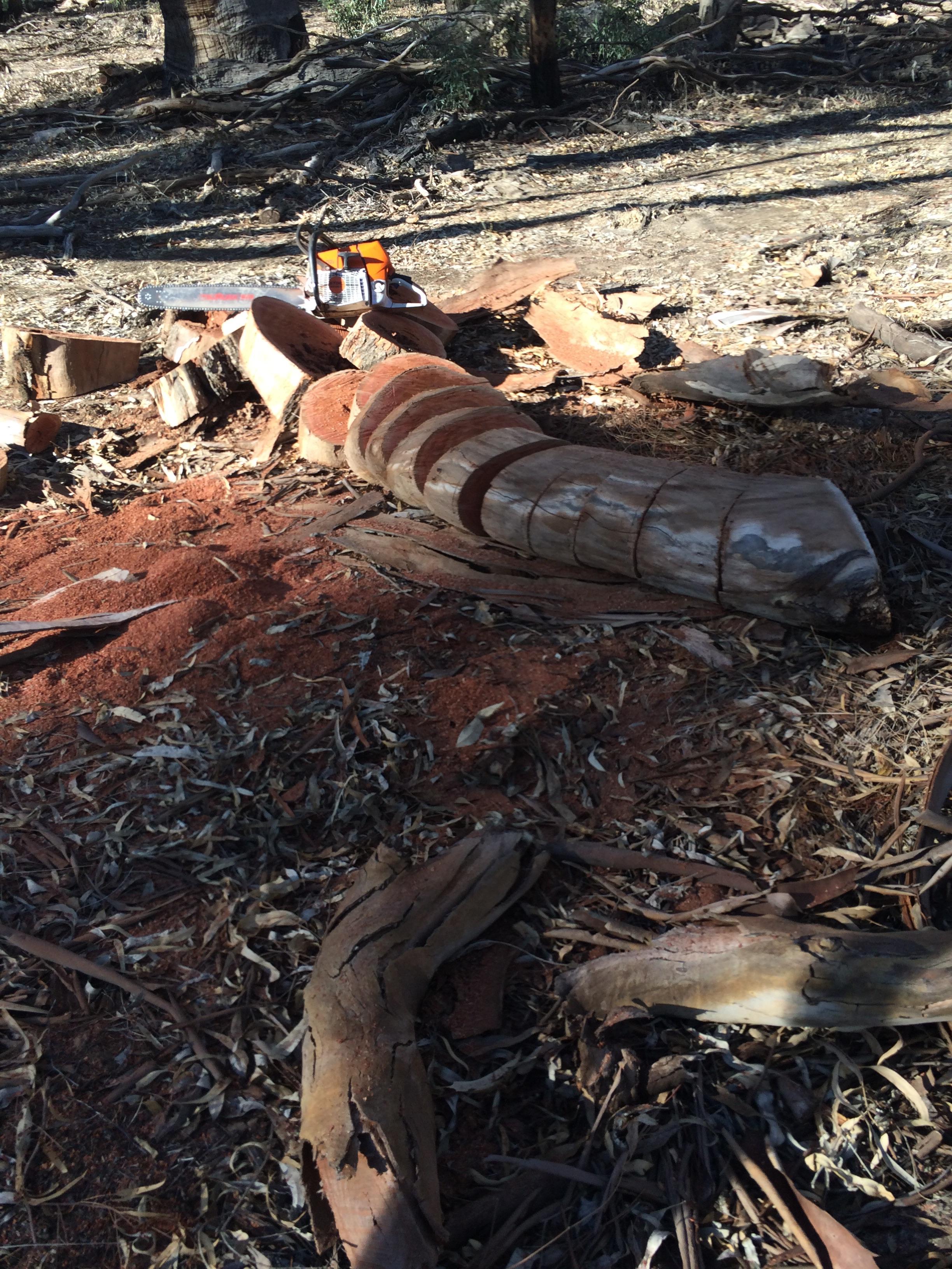 Prime rib stihl cuts | Scrolller