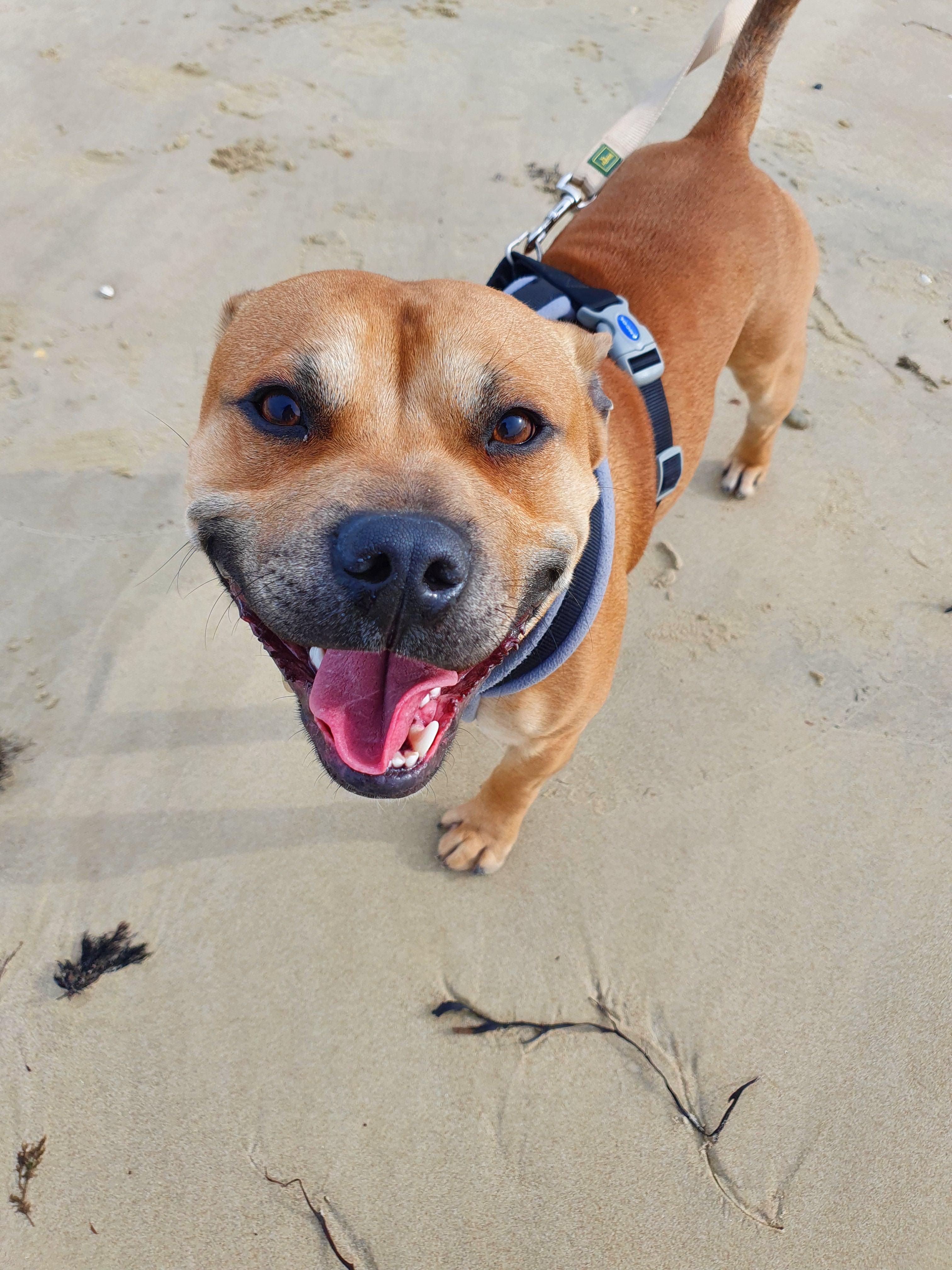 PRINCE 🐾 | Scrolller