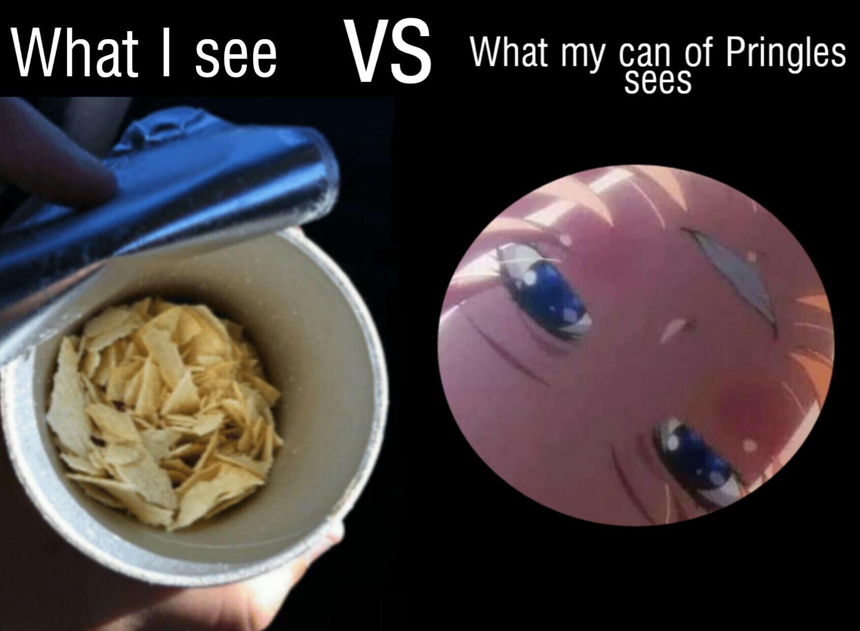 Pringle’s can | Scrolller