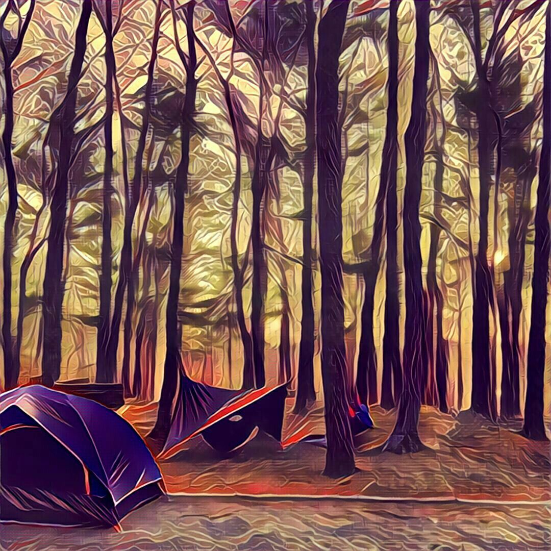 Prisma of campsite... | Scrolller