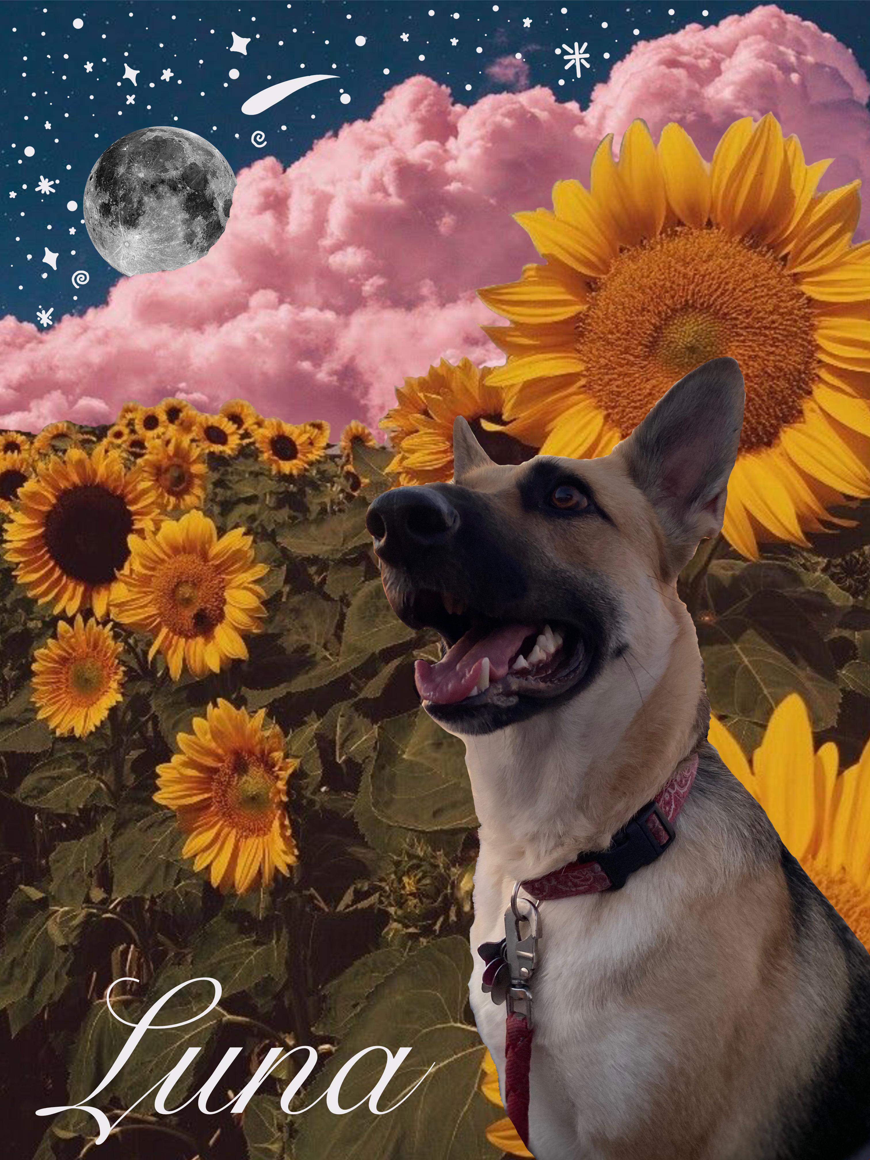 Procreate edited my girl! | Scrolller