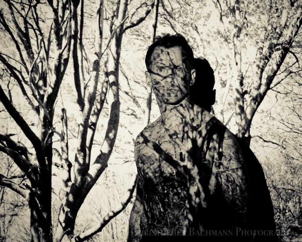 Projection | Scrolller