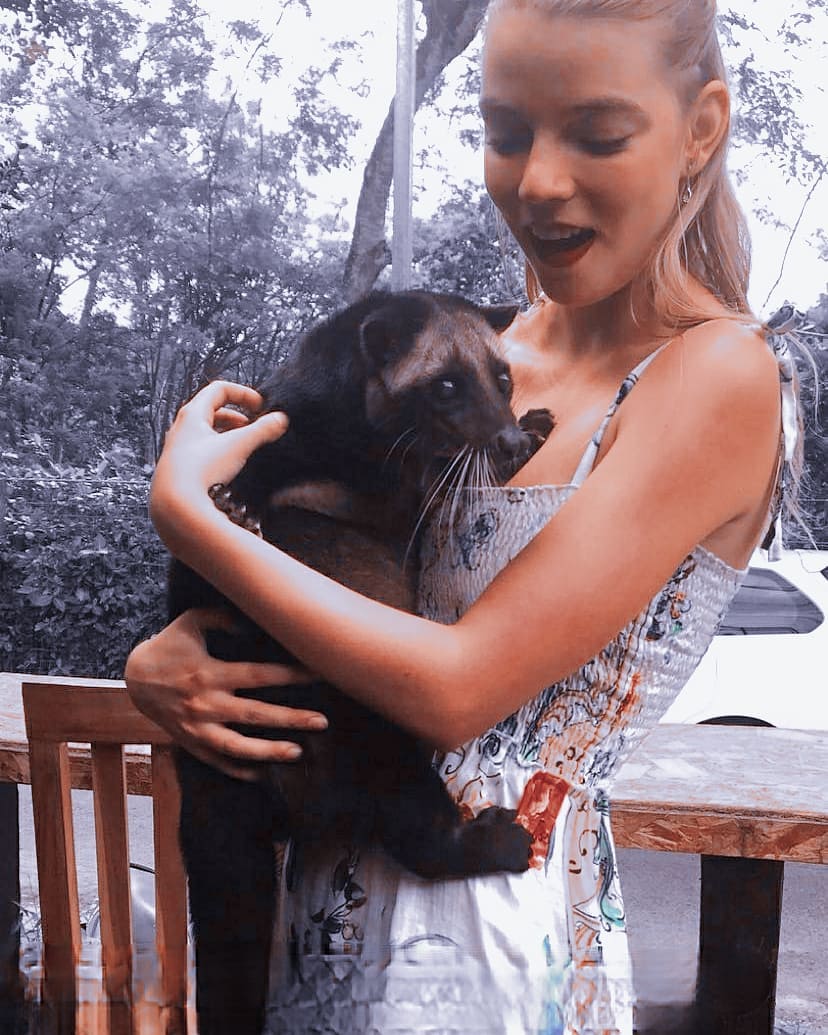 Protected | Scrolller