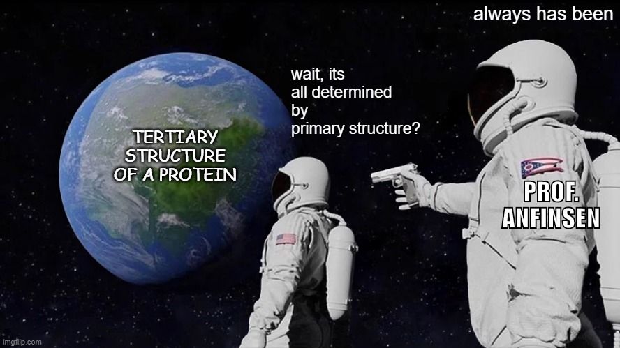 Protein structure | Scrolller