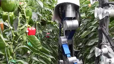 Prototype: Fully Autonomous Fruit-Picker Robot | Scrolller