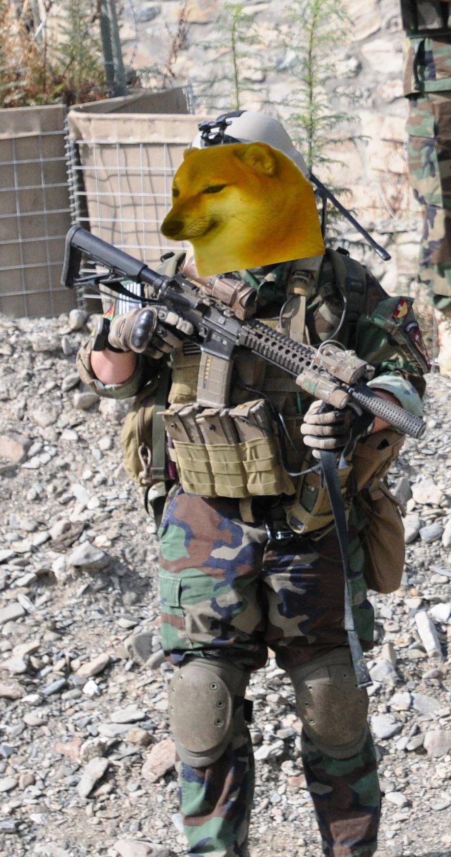 Proud to serve in the BONK army | Scrolller