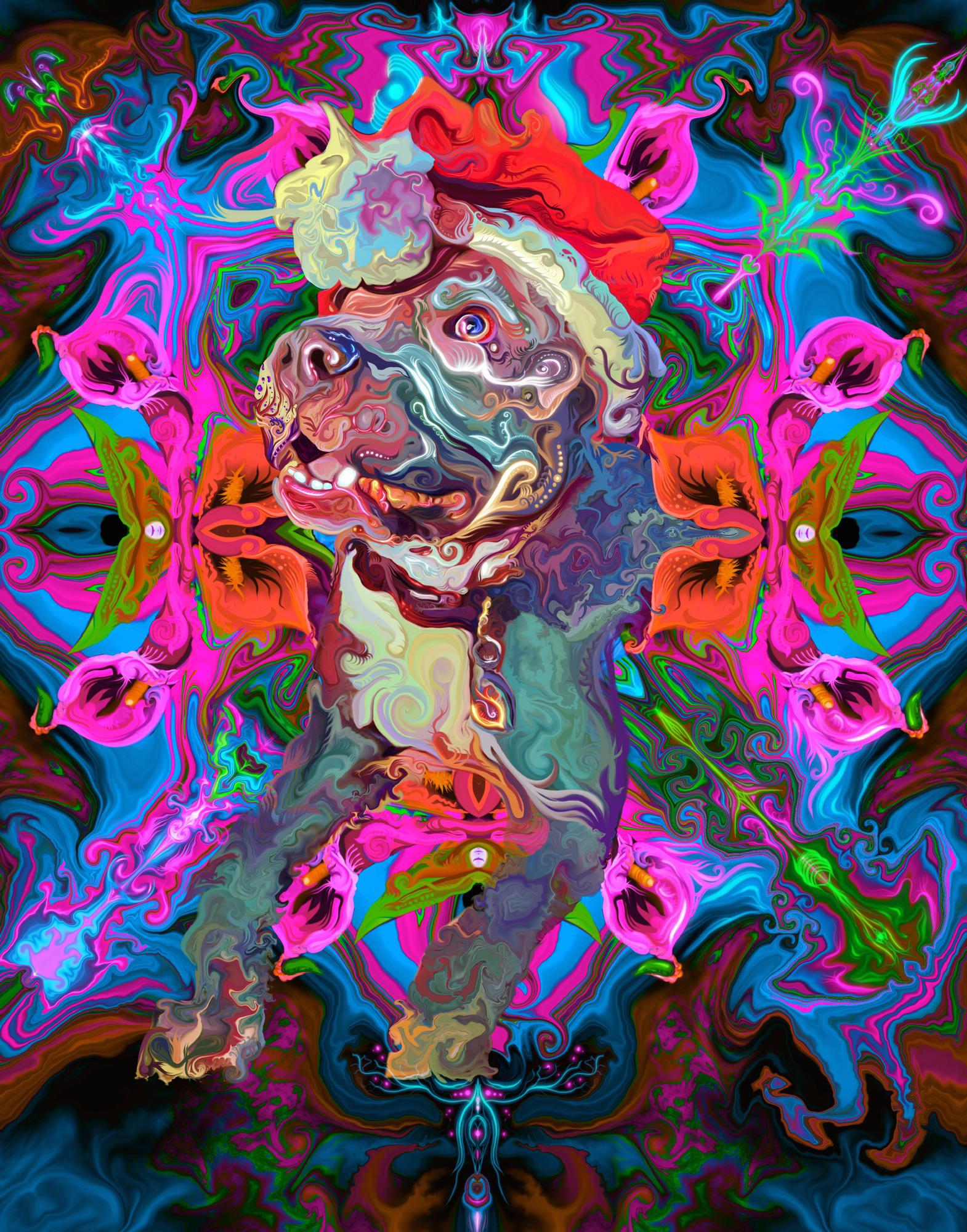 psychedelic portrait | Scrolller