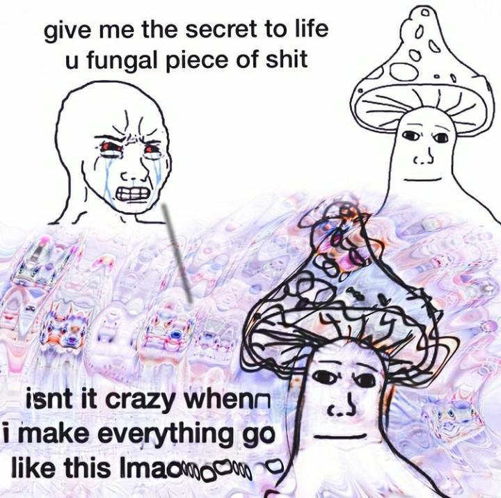 Psychedelic rule | Scrolller