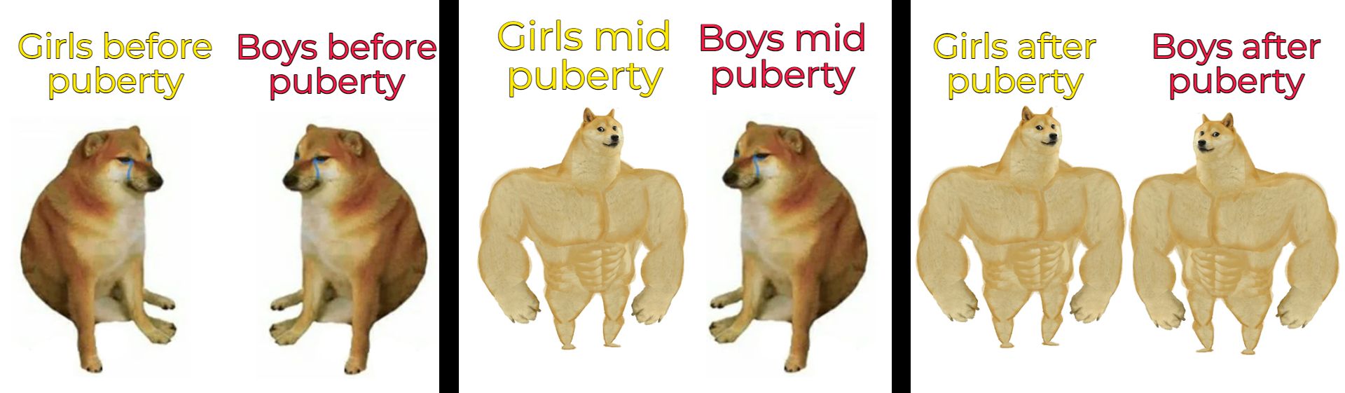 Puberty is very chad | Scrolller
