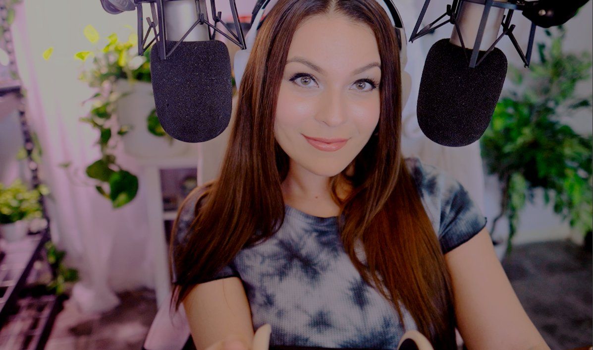 Puffin Asmr | Scrolller