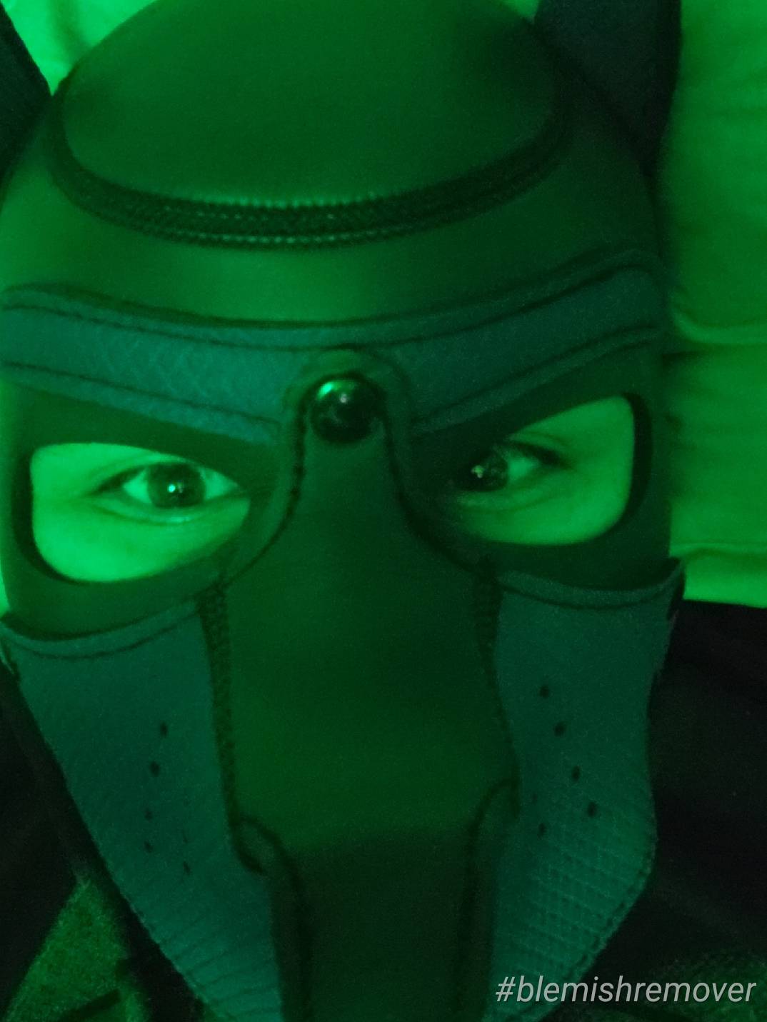 Puppy got his first hood! | Scrolller