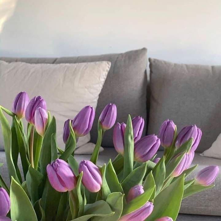 Purple flowers 💜 | Scrolller