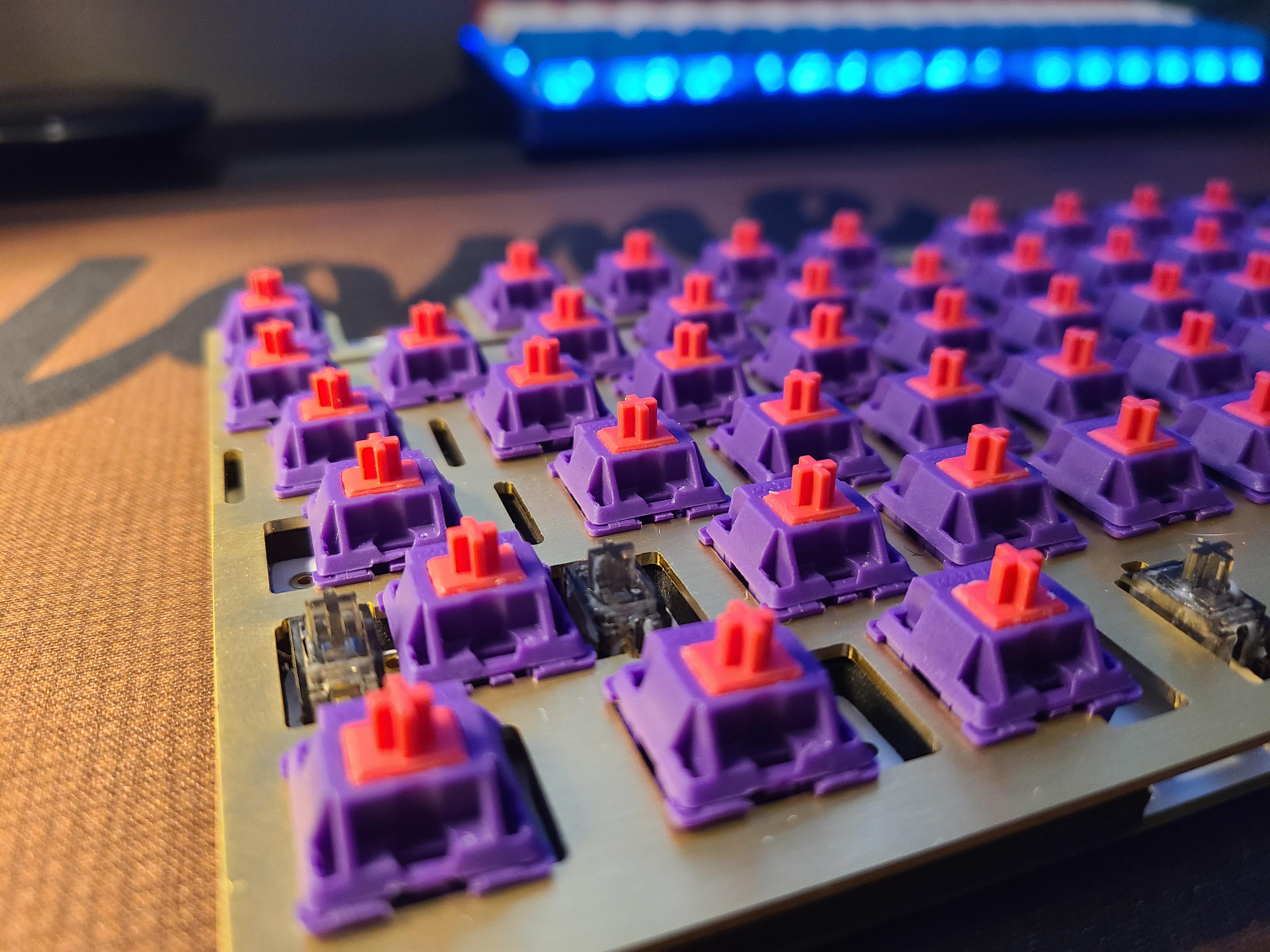 Purple Pumpkin Money Eaters | Scrolller