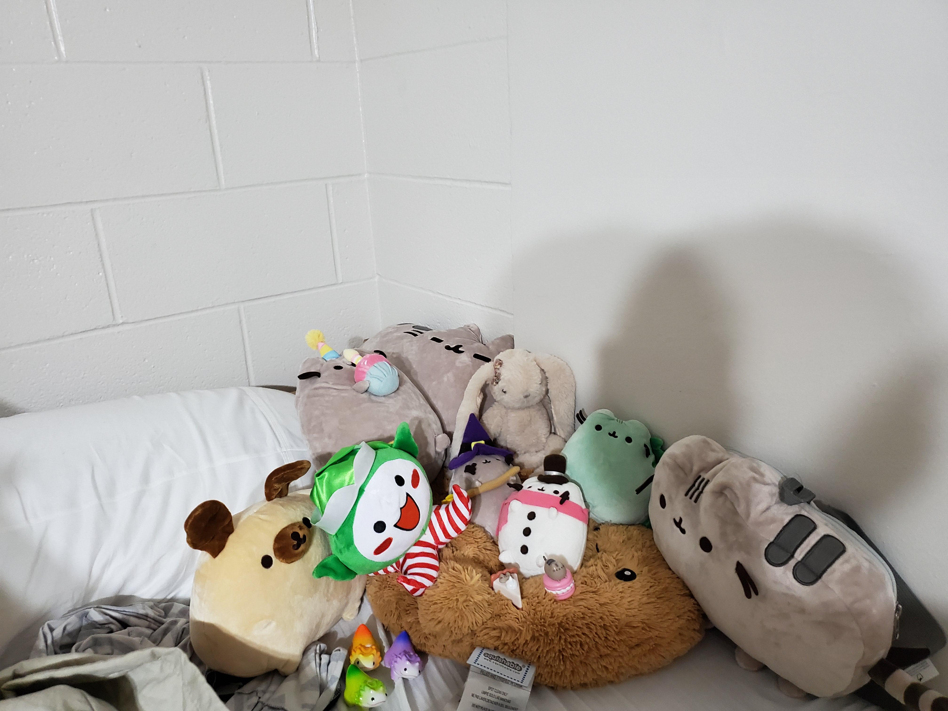 Pusheens in my dorm! just wanna get more... | Scrolller