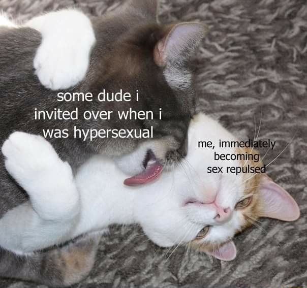 Put on a good show though, gotta get them hooked. | Scrolller