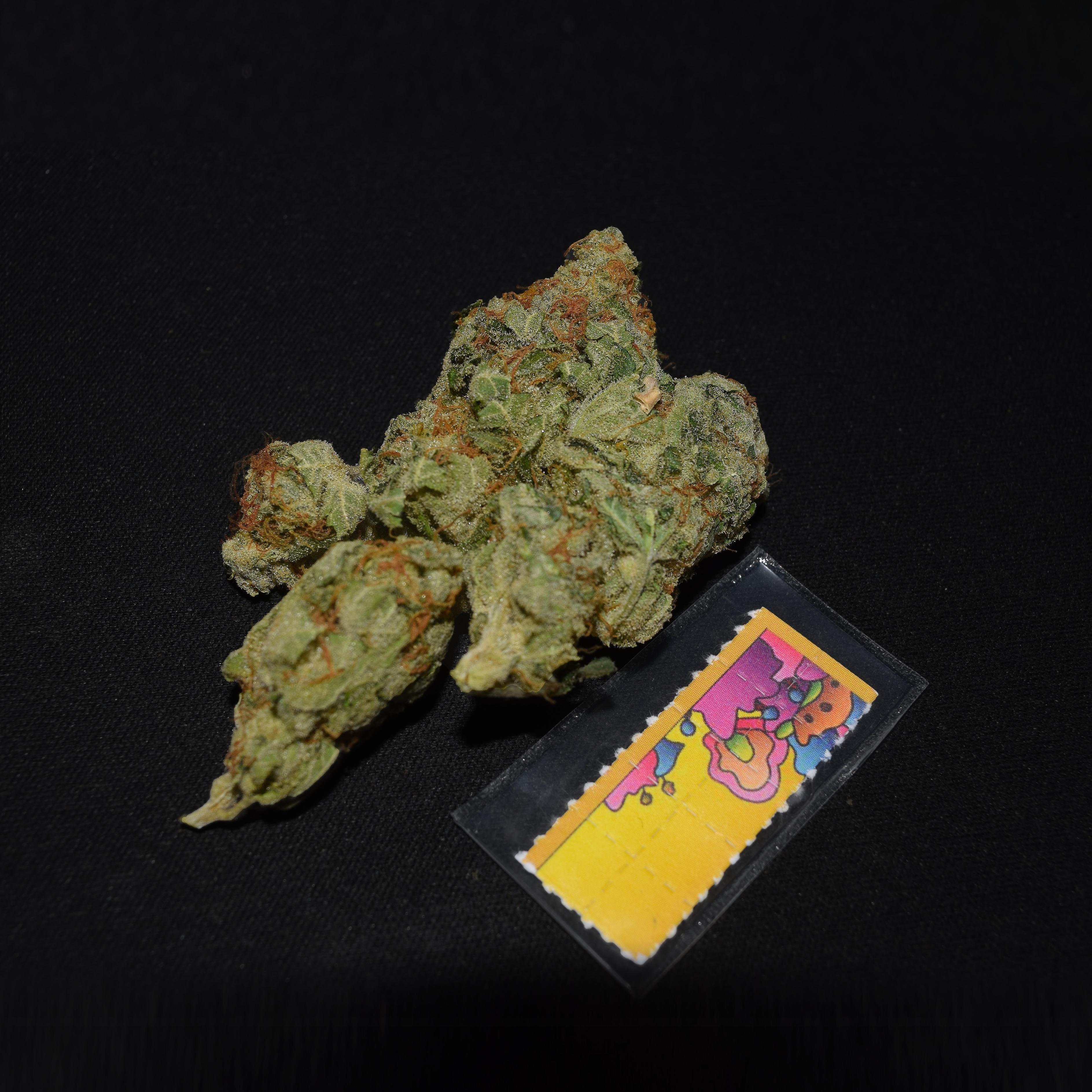 Quarantine Essentials | Scrolller