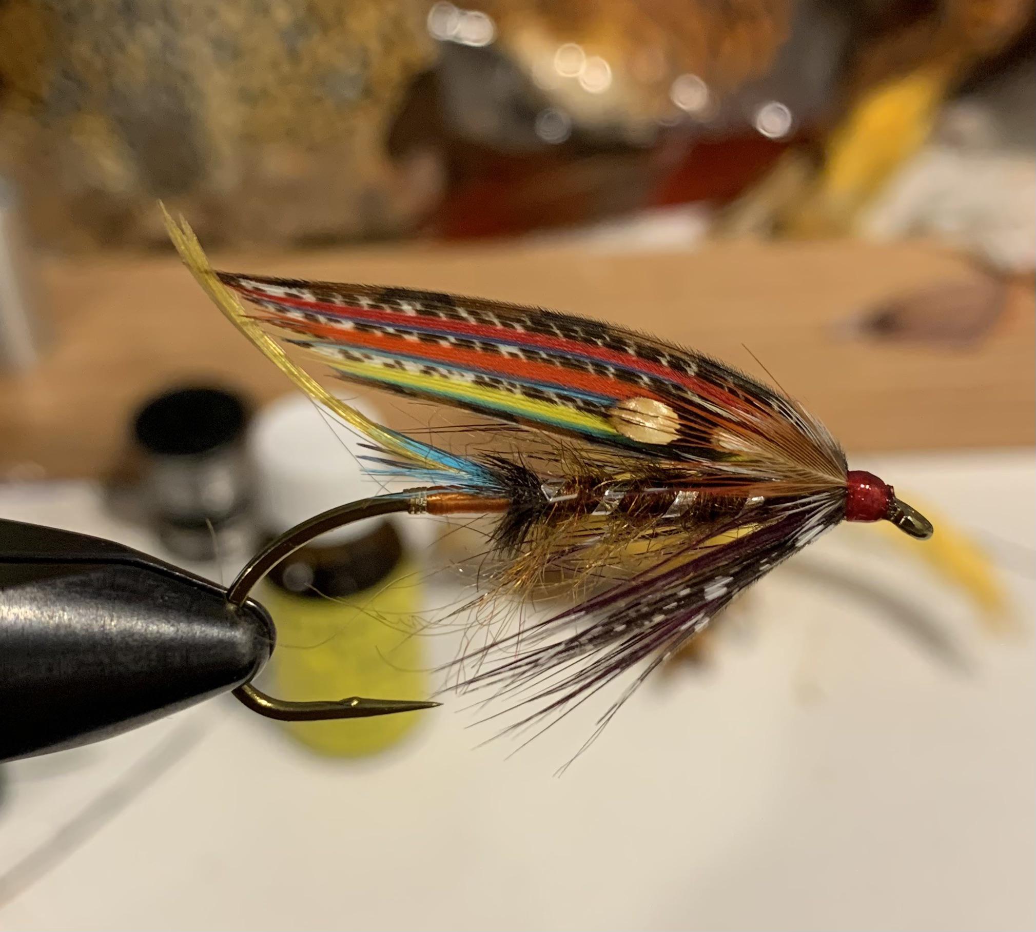 Quick freestyle married wing in fall colors | Scrolller