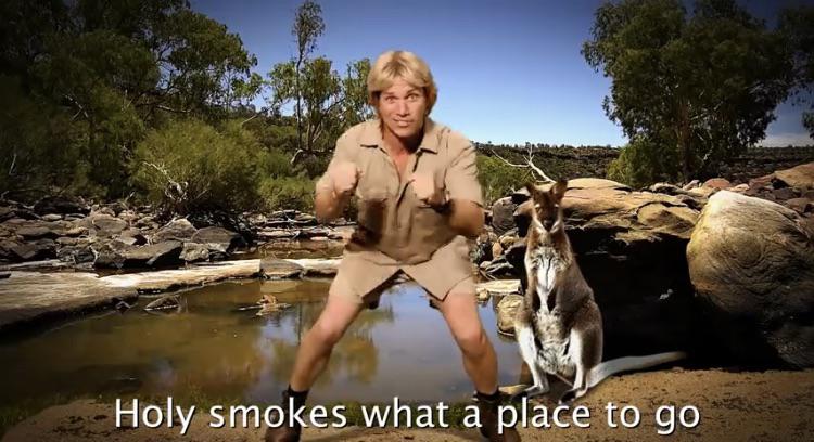 r/animals | Scrolller