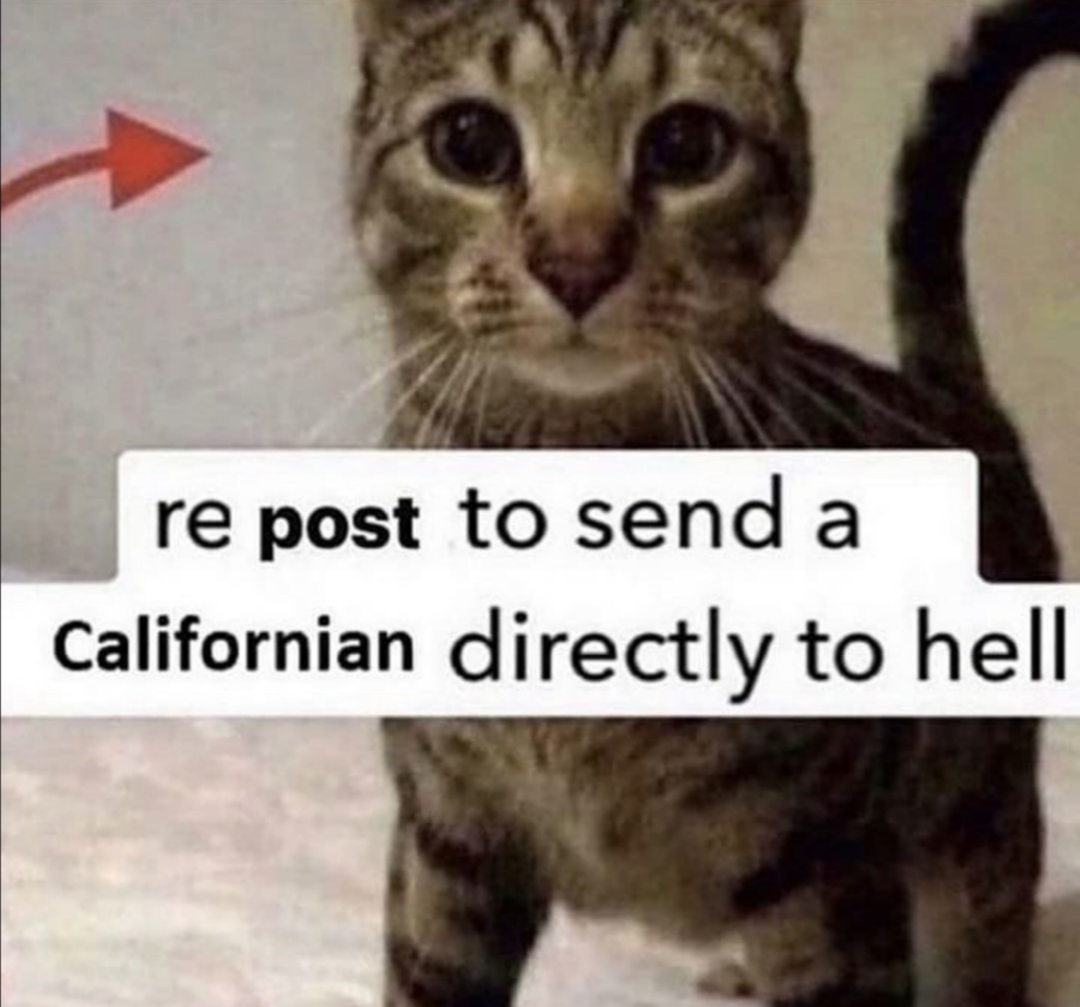 R(M)ule(T) | Scrolller