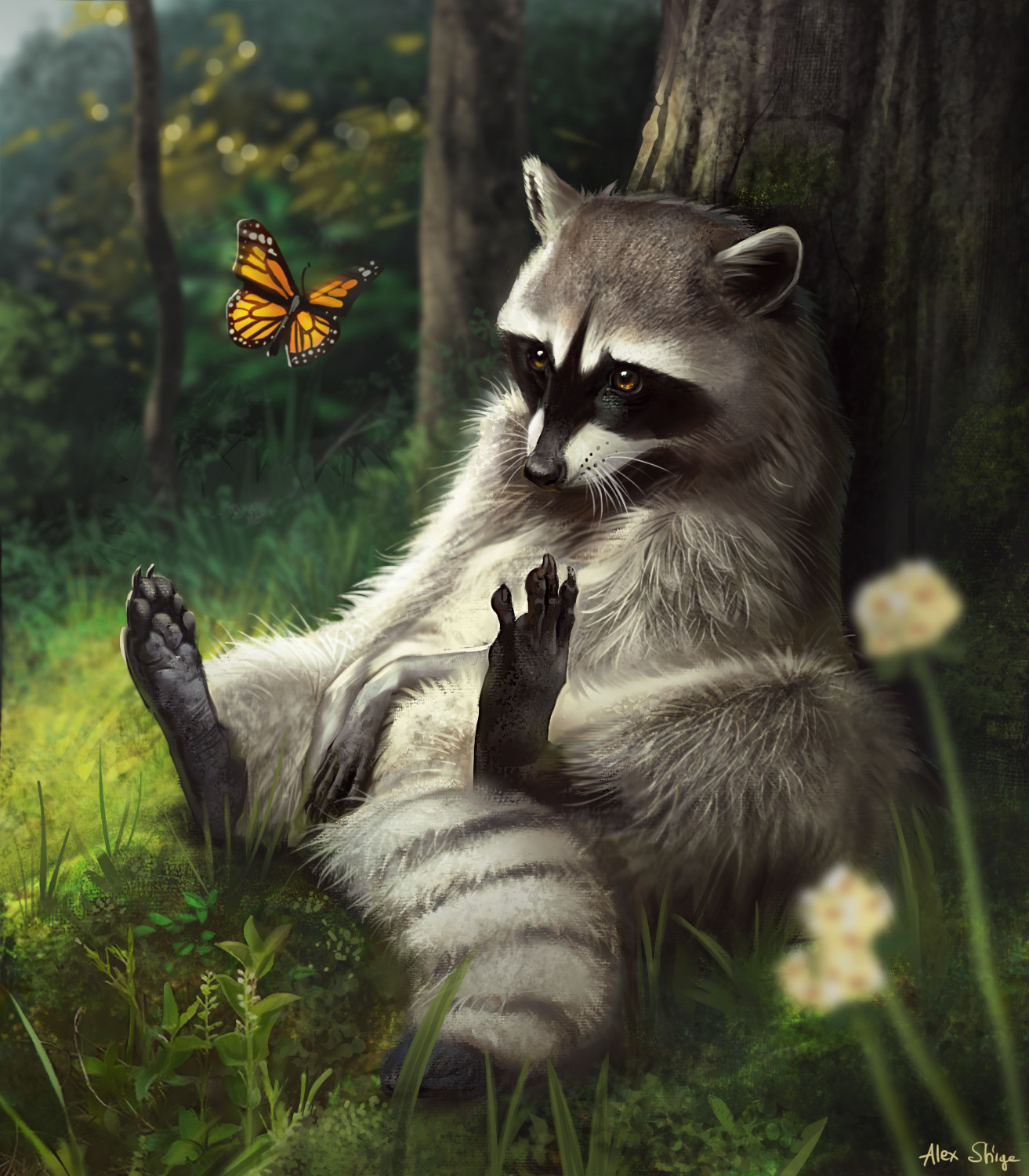 Racoon by Alex Shiga | Scrolller