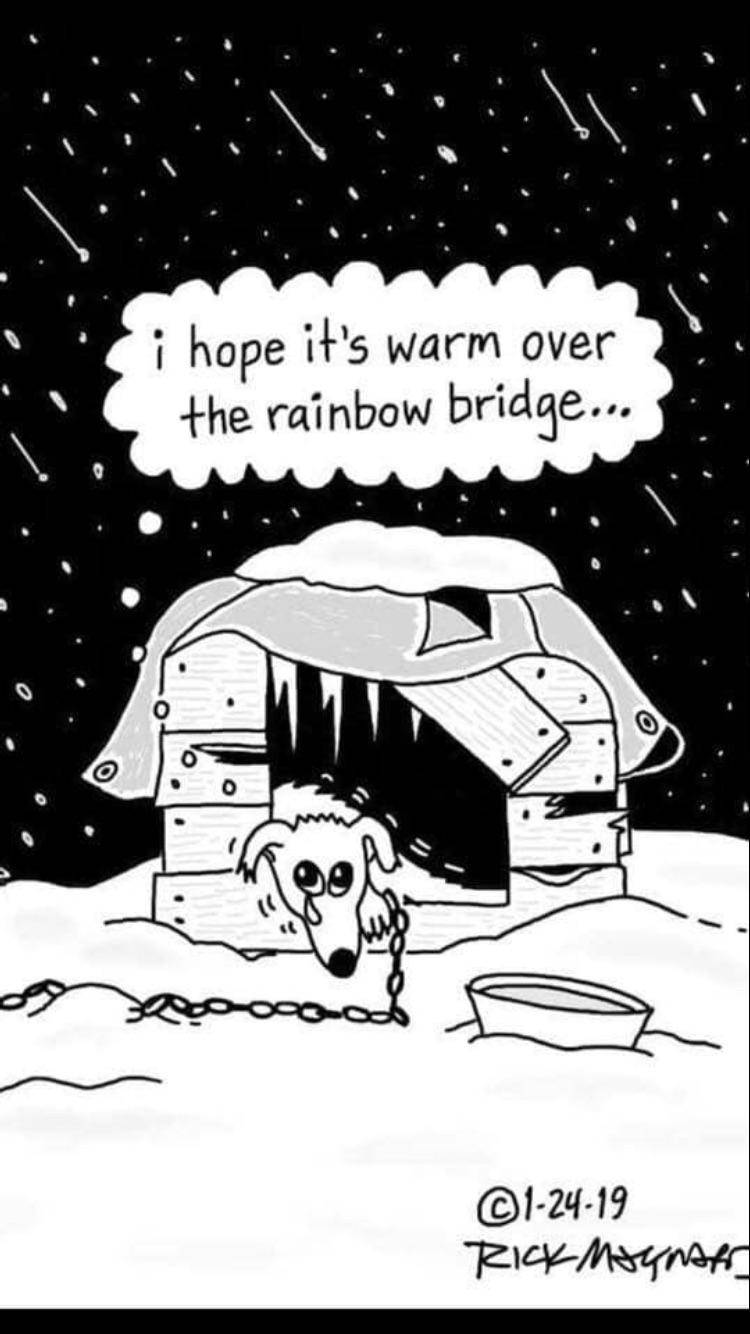 Rainbow bridge | Scrolller