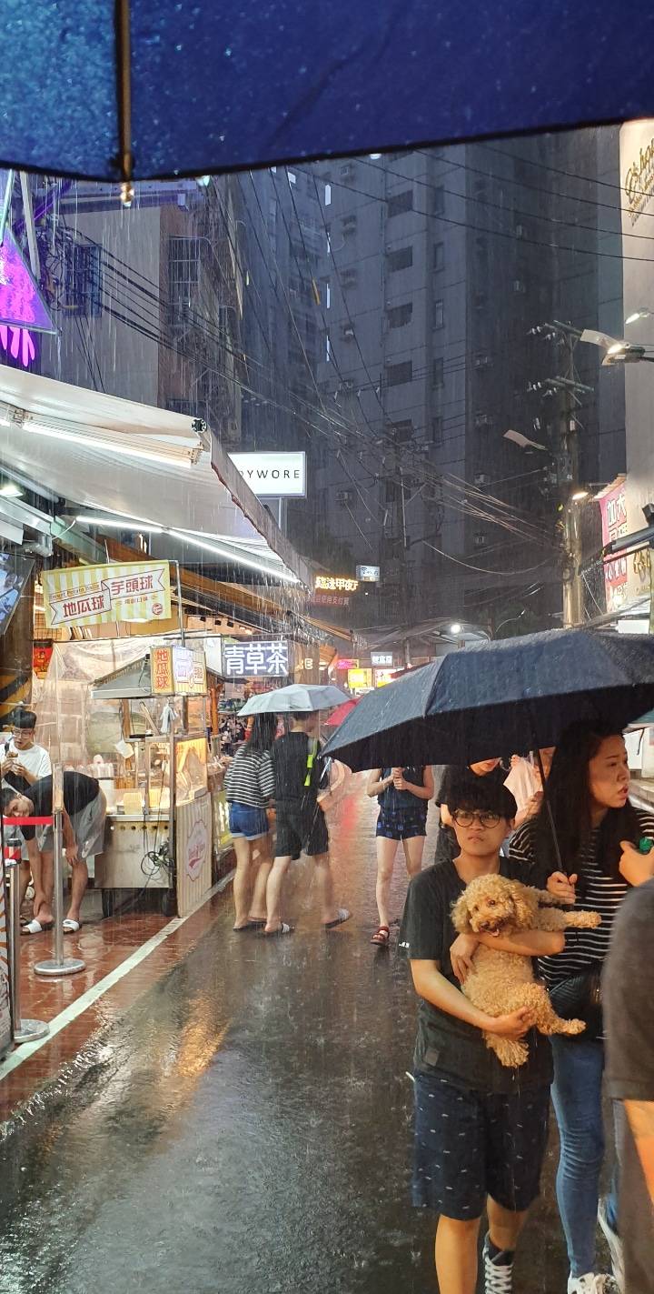 Rainy Taichung | Scrolller