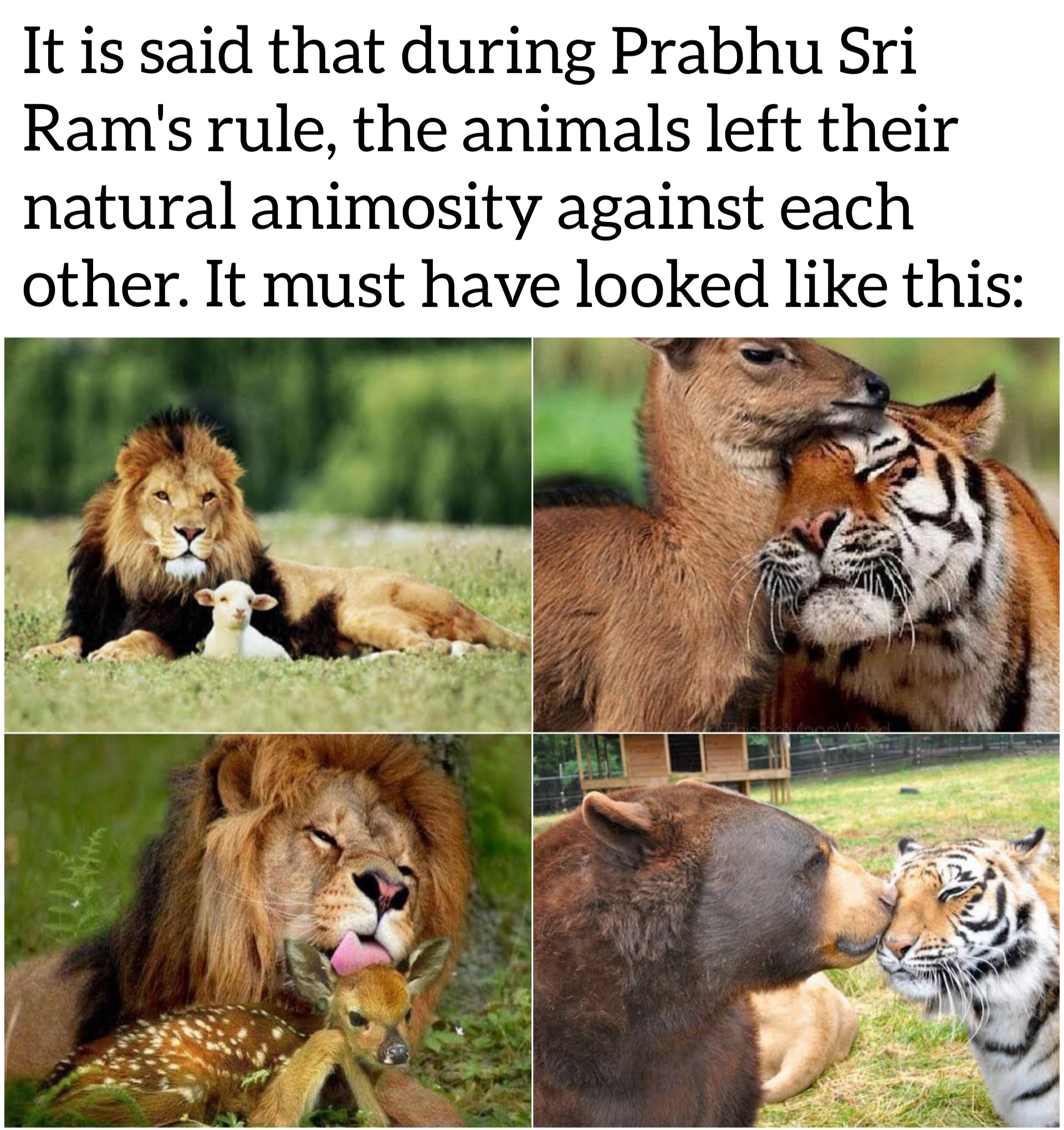 Ram Ram ji | Scrolller