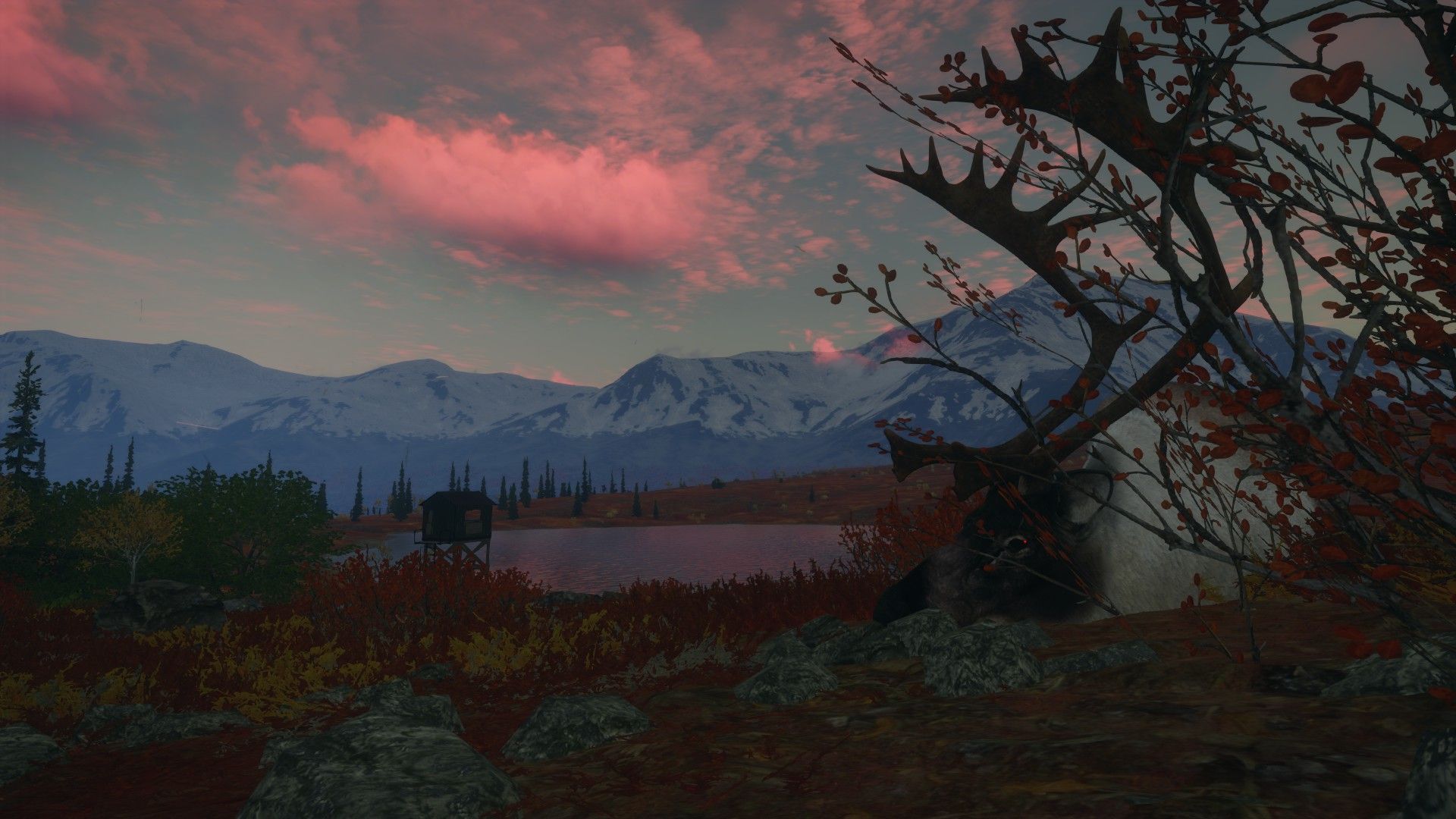 Random screenshot i took , looks kinda cool | Scrolller