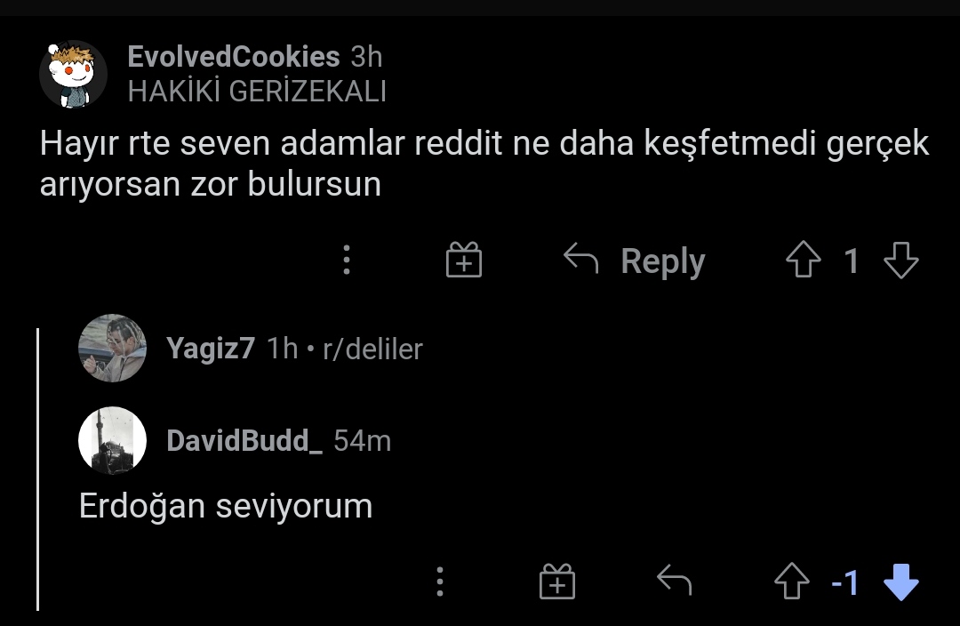 Ərdogan seviyor ben | Scrolller